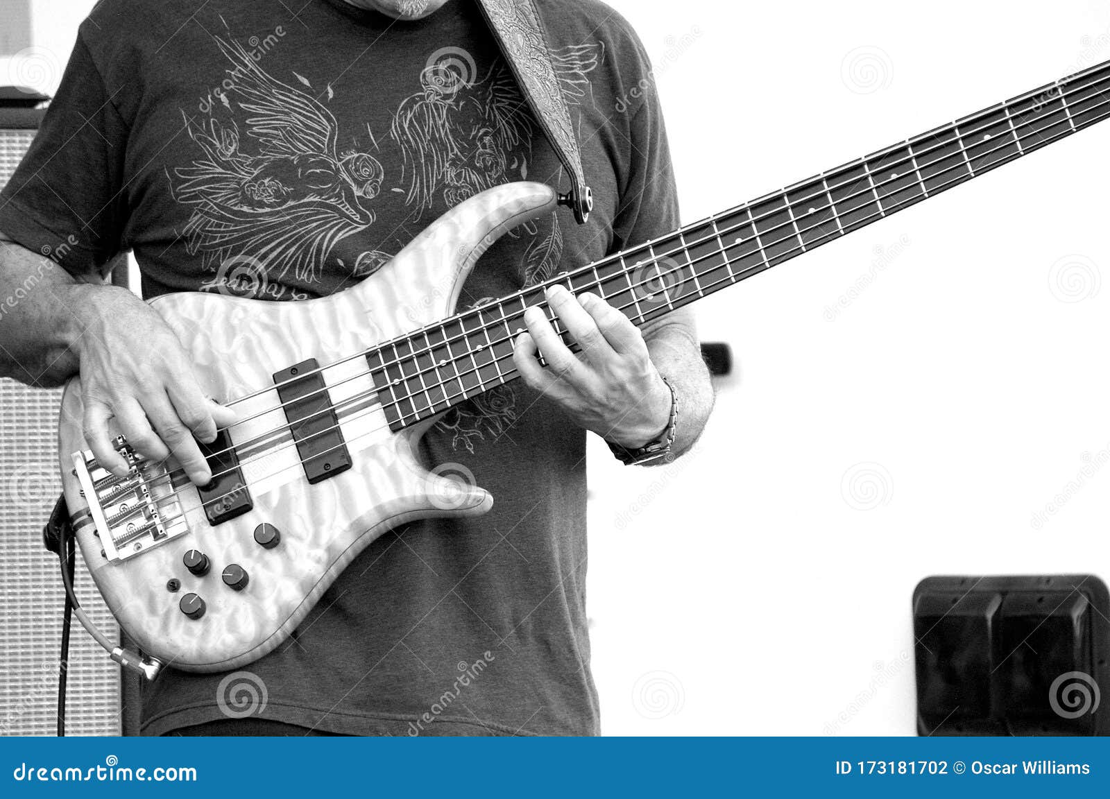 Bass guitarist performing. stock photo. Image of people - 173181702