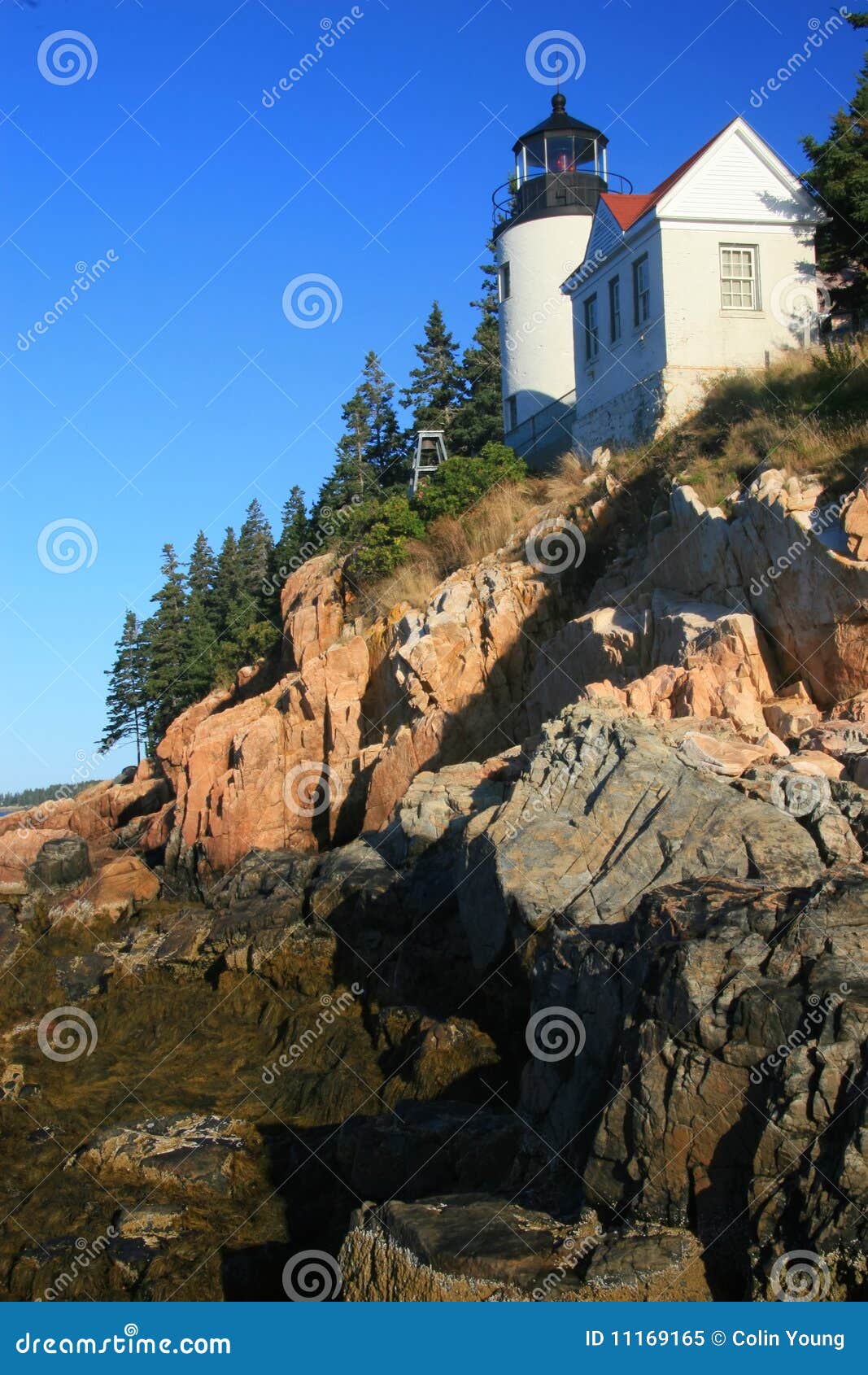 Bass Harbor Lighthouse Vertical Stock Image - Image of light, nature ...
