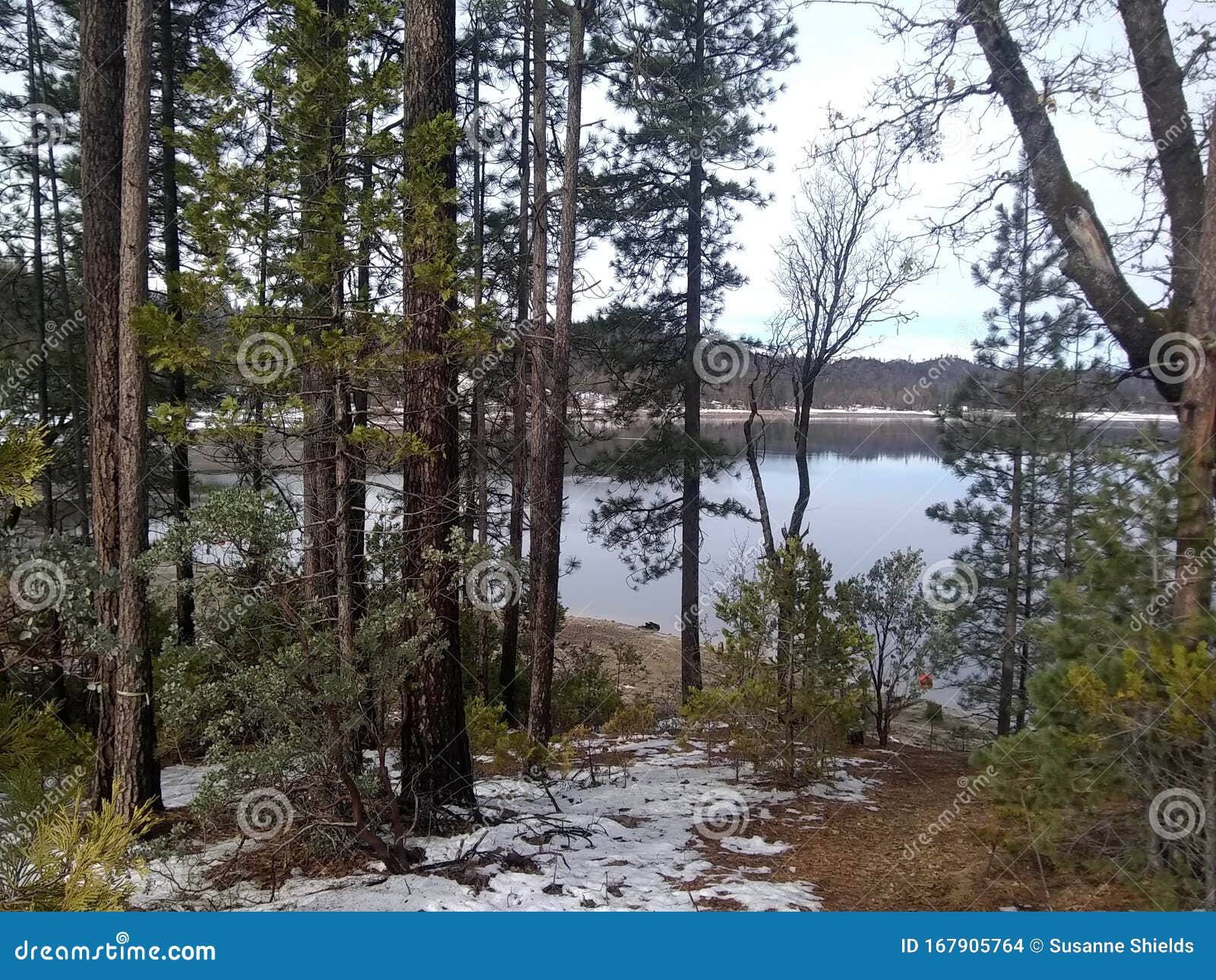 Bass Lake, CA Yosemite stock photo. Image of trees, snow - 167905764