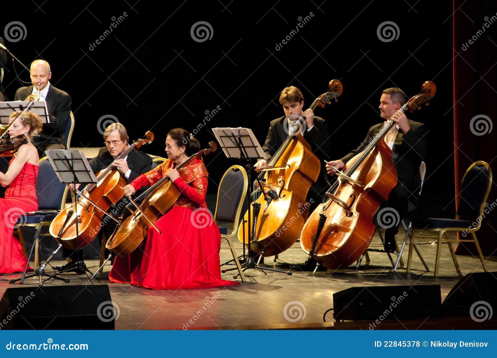 Bass party orchestra editorial stock photo. Image of live - 22845378