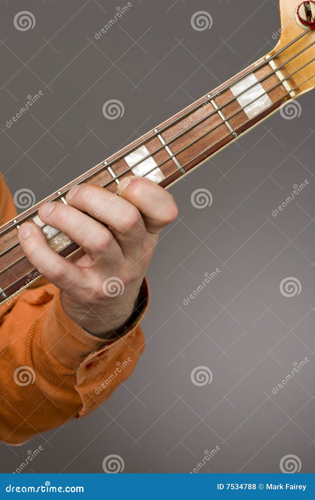 Bass players left hand stock photo. Image of copy, vertical - 7534788