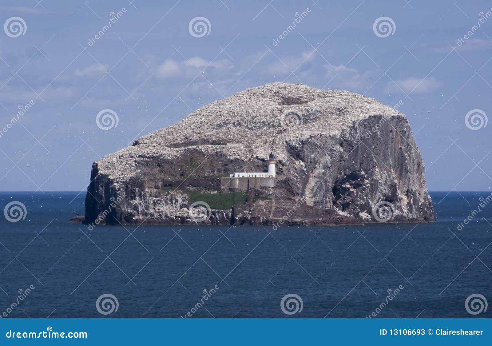 Bass Rock stock image. Image of gannets, cliff, gannet - 13106693