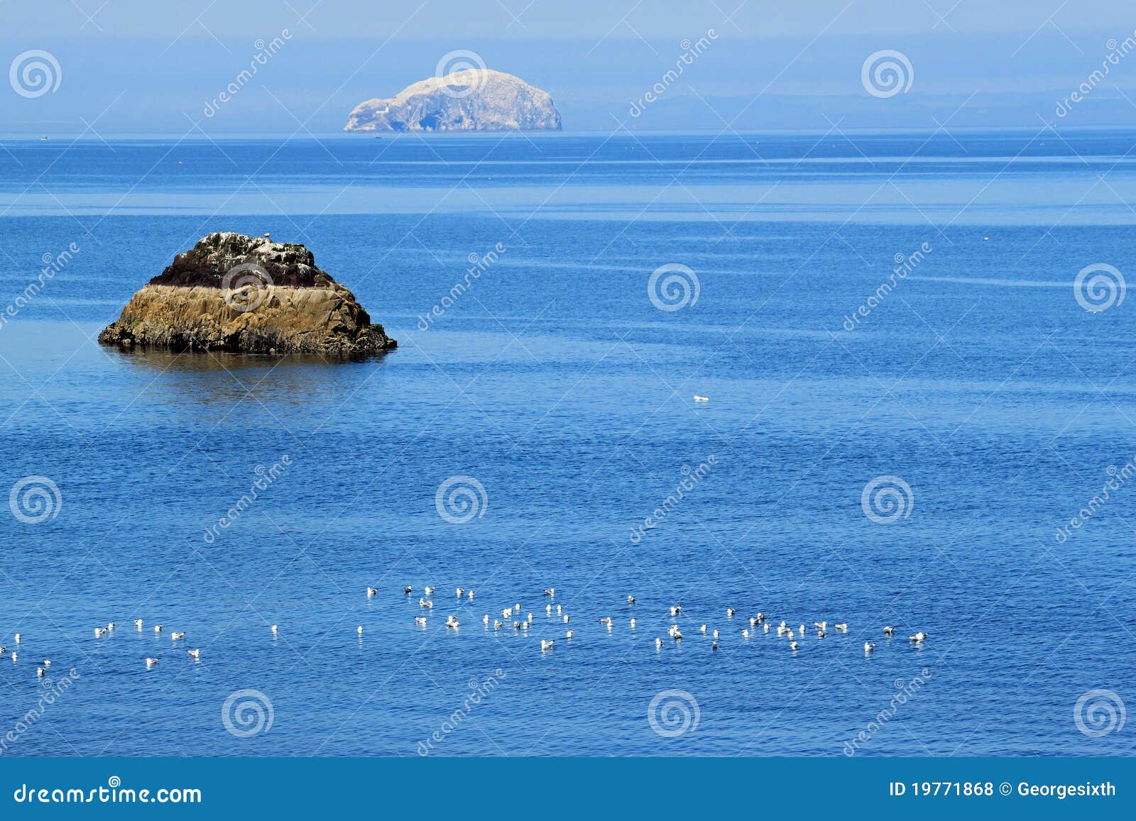 Bass Rock, Firth of Forth, from Dunbar Stock Photo - Image of bass ...