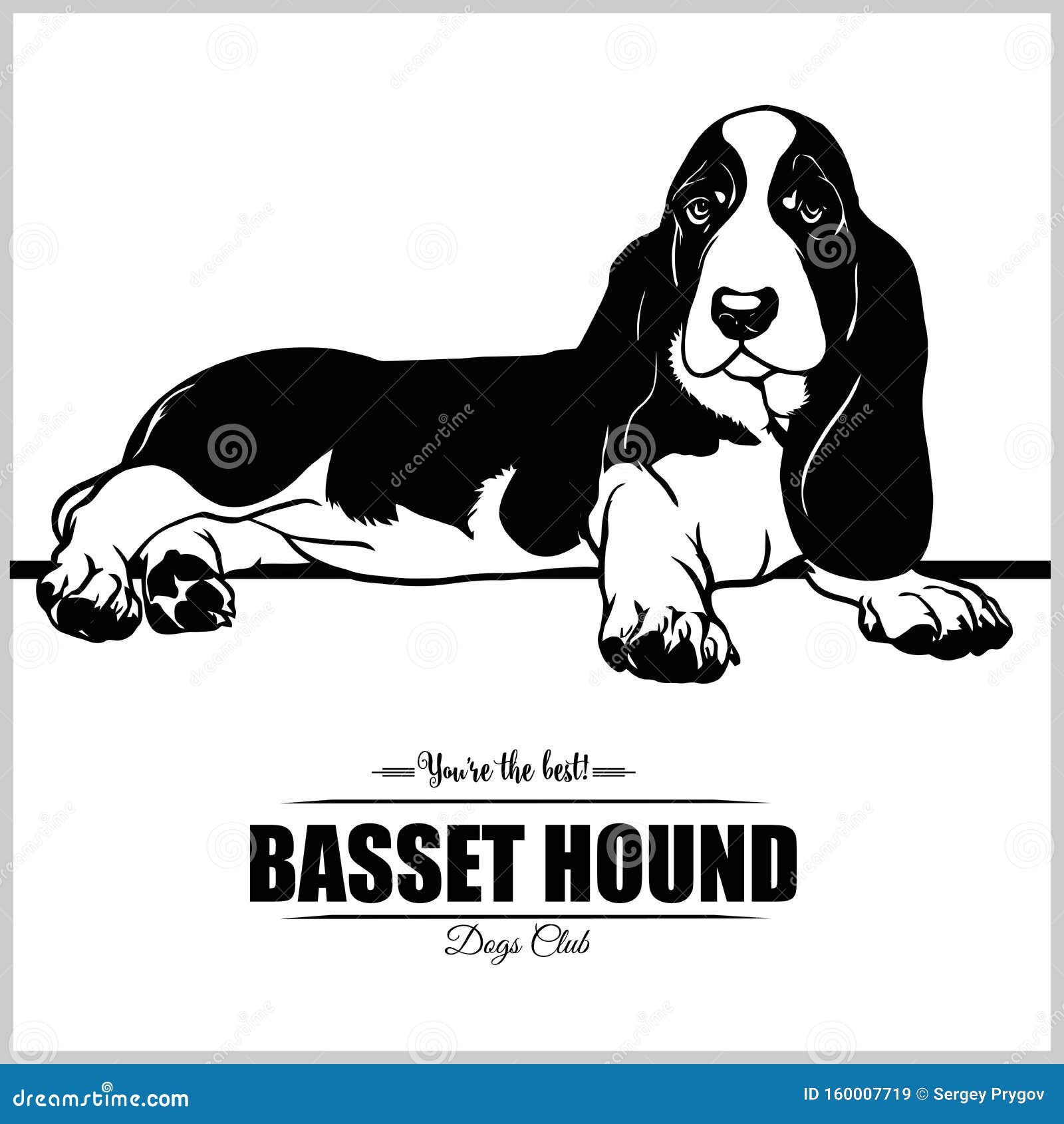 Basset Hound Dog - Vector Illustration for T-shirt, Logo and Template ... Basset Hound Dog - Vector Illustration for T-shirt, Logo and Template ...