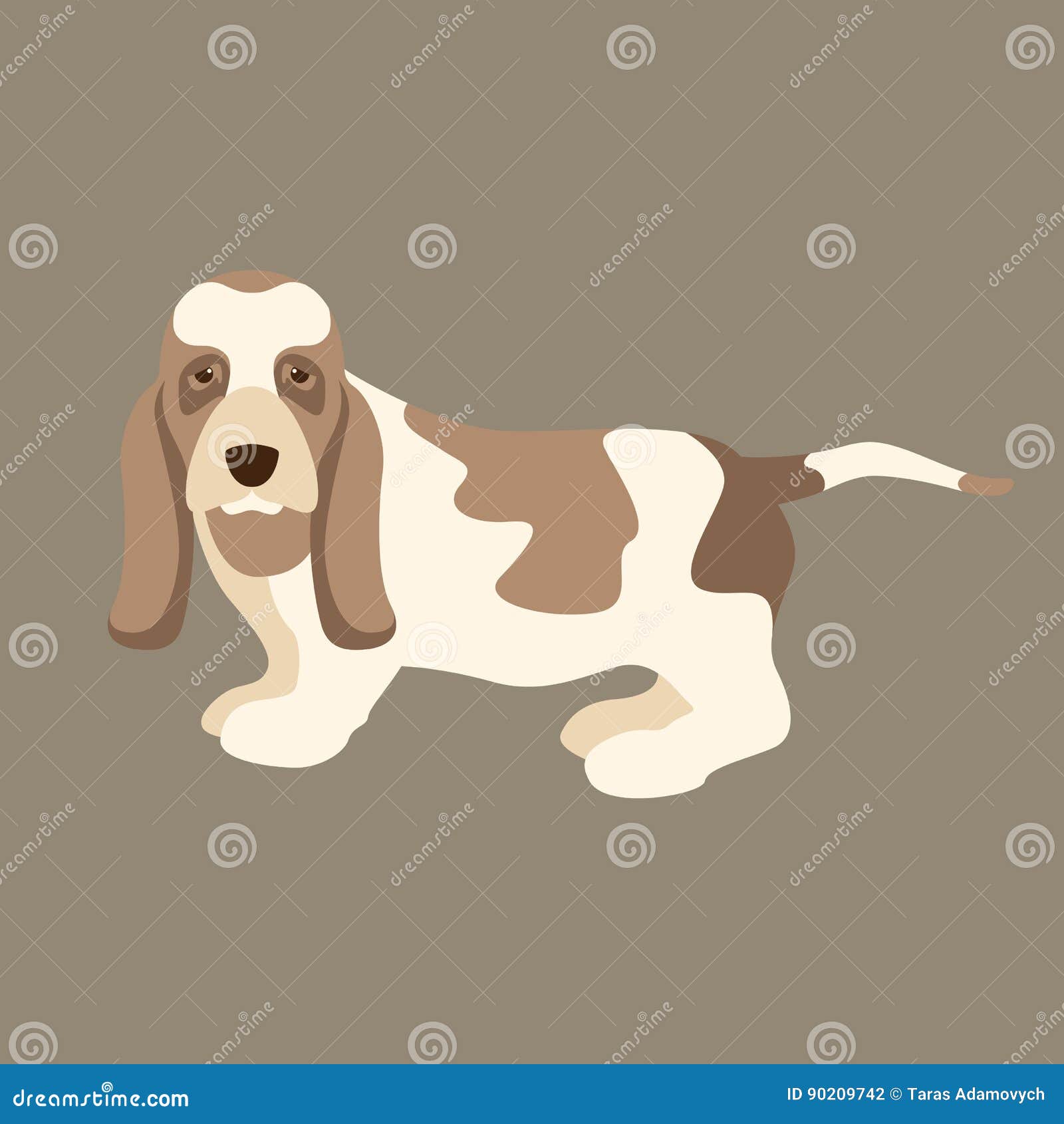Basset Hound Vector Illustration Style Flat Stock Vector - Illustration ...