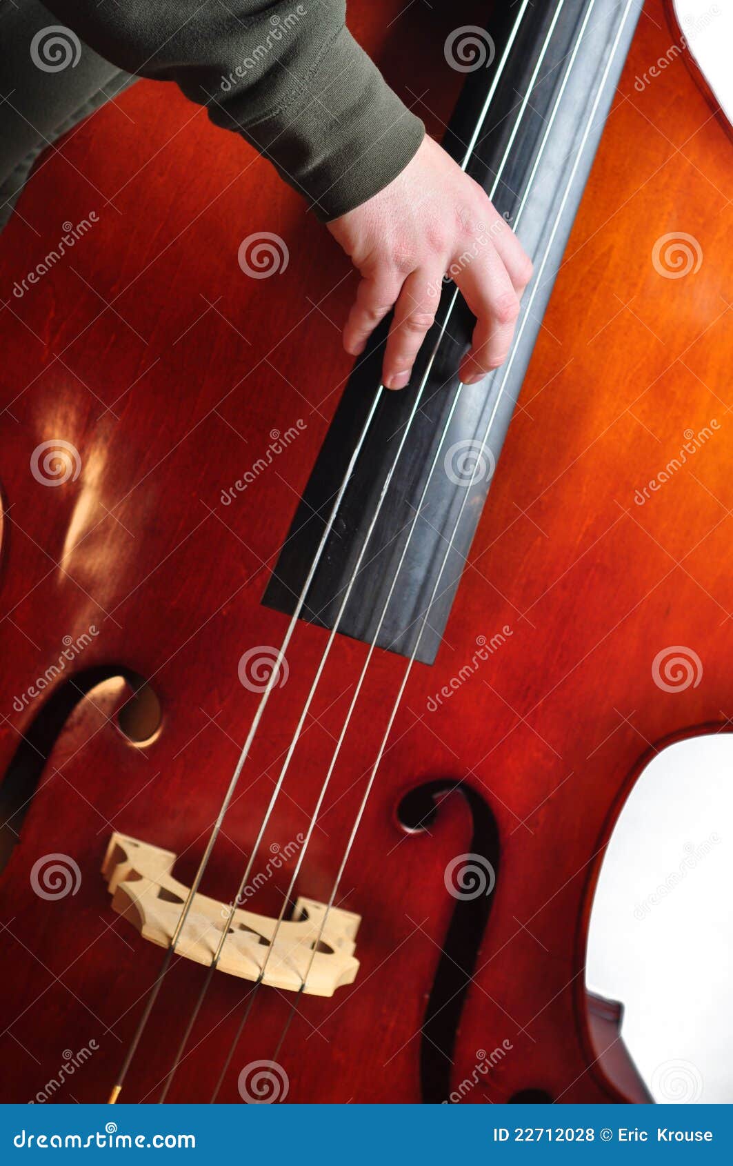 Bassist stock photo. Image of musician, person, instrument - 22712028