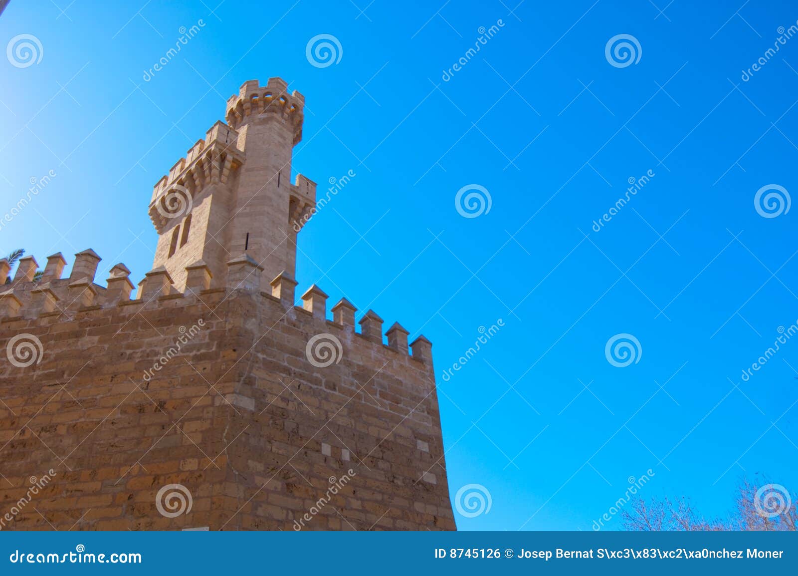 Bastión foto de archivo. Imagen de ladrillo, piedra, fortificado - 8745126