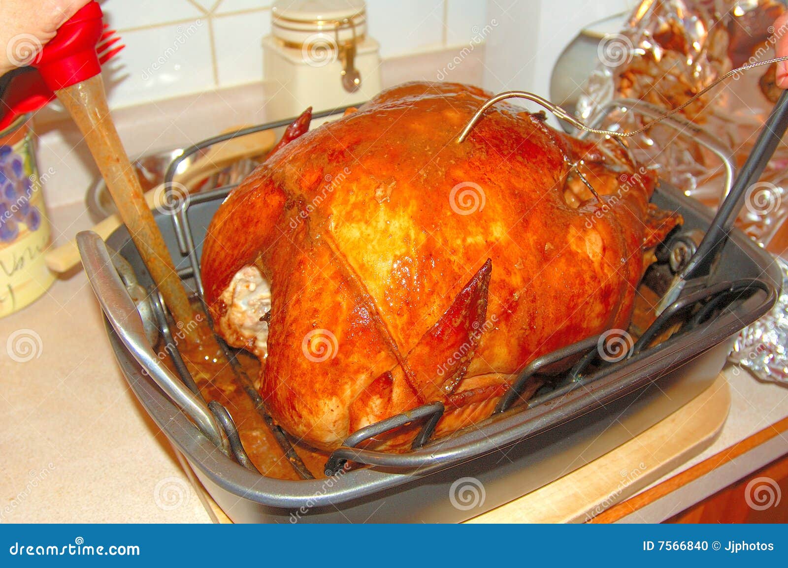 Basting Turkey 3 stock photo. Image of turkey, avian, bird - 7566840
