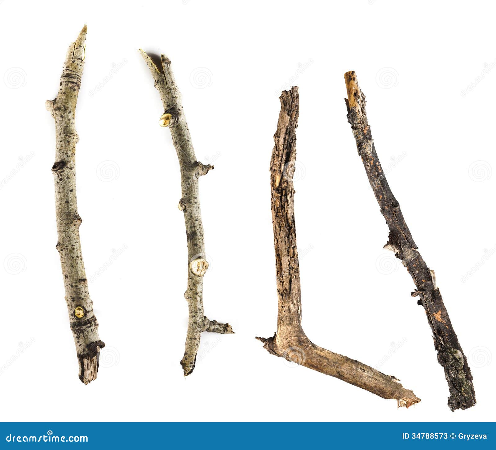 Bastoni E Ramoscelli Isolati Su Fondo Bianco Immagine Stock - Immagine ...