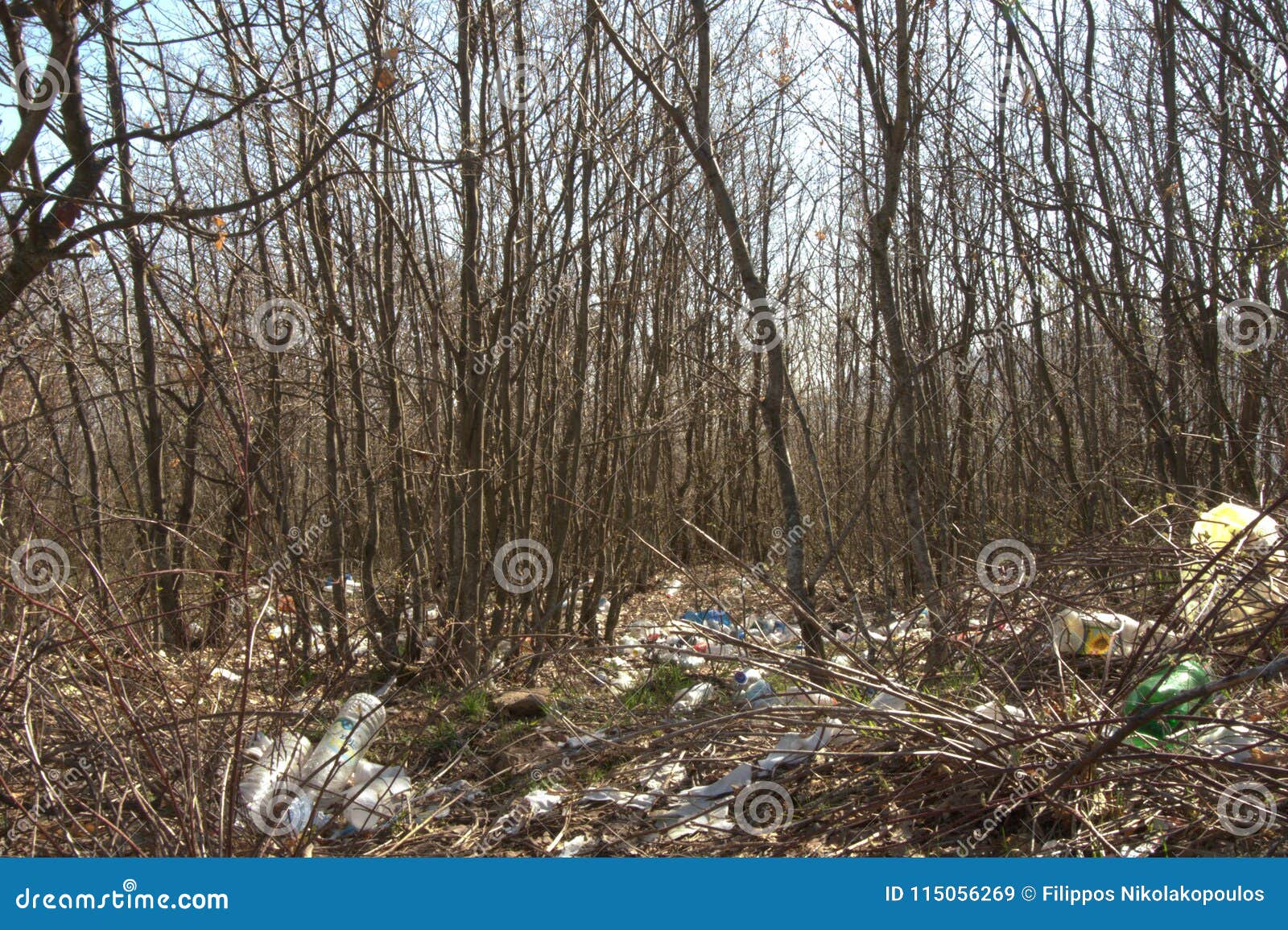 Basura en el bosque imagen de archivo. Imagen de desechado - 115056269