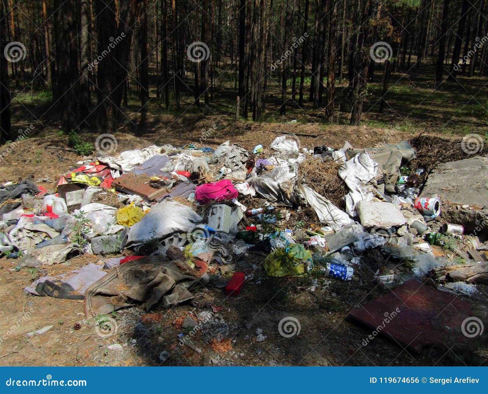 Basura en el bosque foto de archivo. Imagen de empaquetado - 119674656