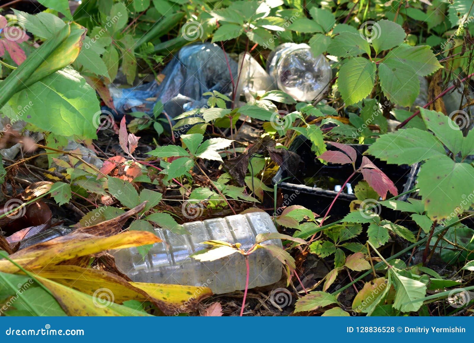 Basura en el bosque foto de archivo. Imagen de industria - 128836528