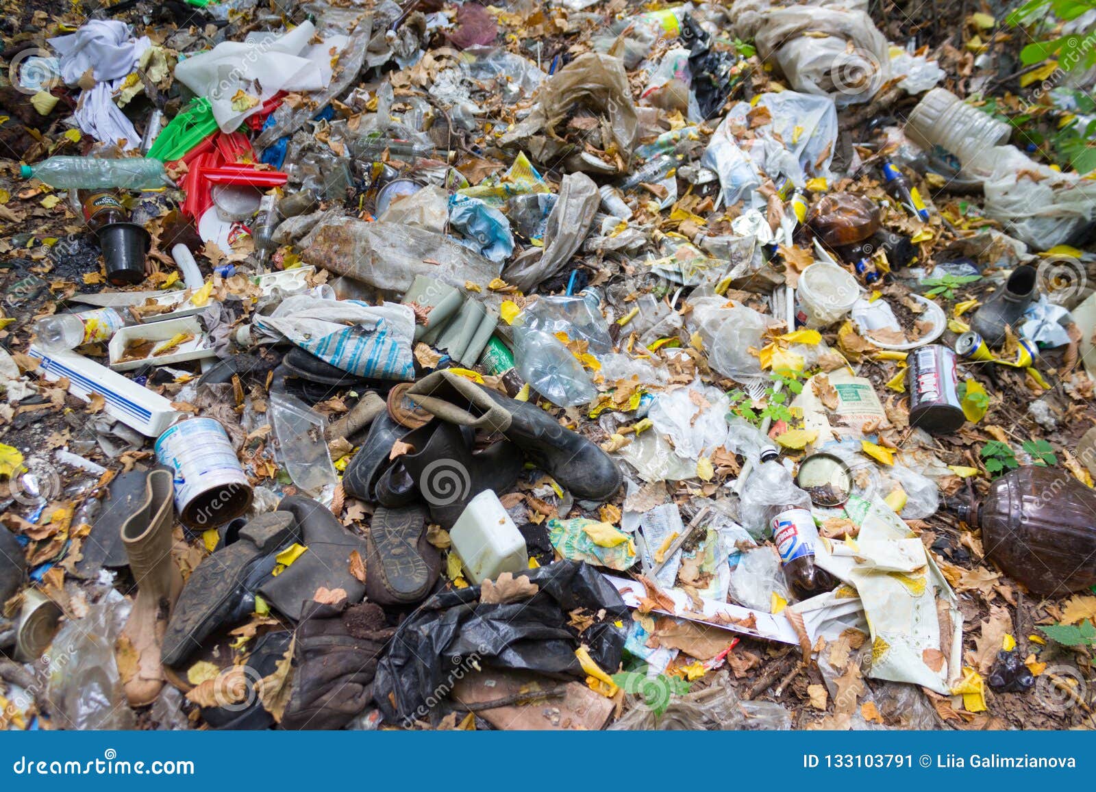 Basura en el bosque foto editorial. Imagen de parque - 133103791