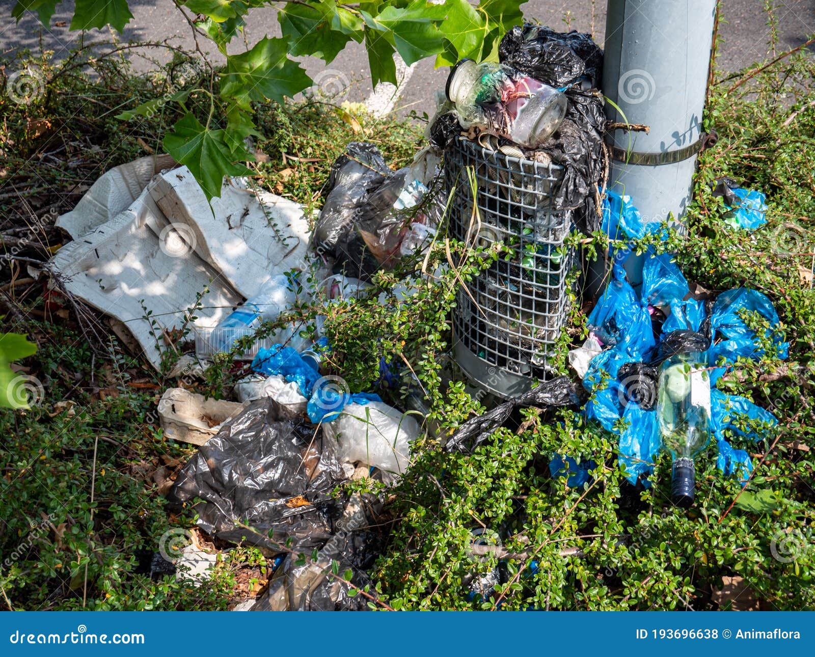 Basura En El Bosque Con Basurero Foto de archivo - Imagen de verde ...