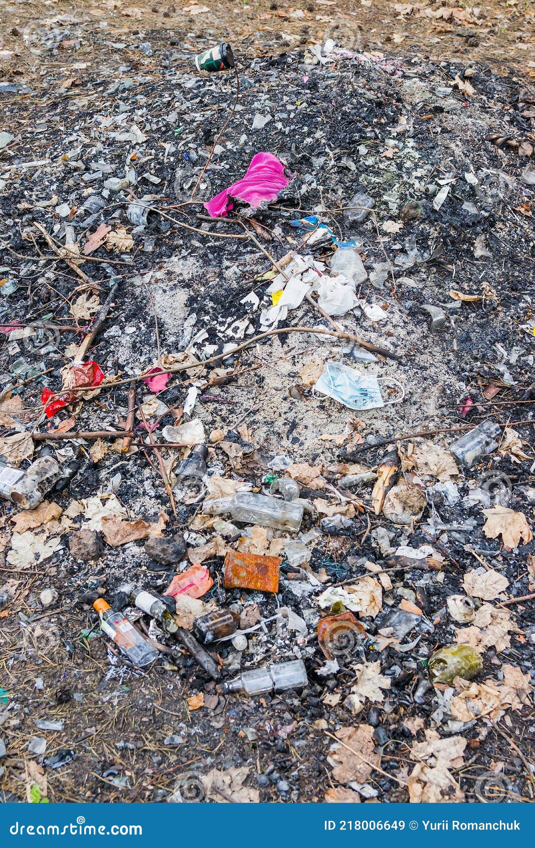 Basura En Un Pinar. Botellas De Vidrio De Alcohol Se Dispersan En El ... Basura En Un Pinar. Botellas De Vidrio De Alcohol Se Dispersan En El ...
