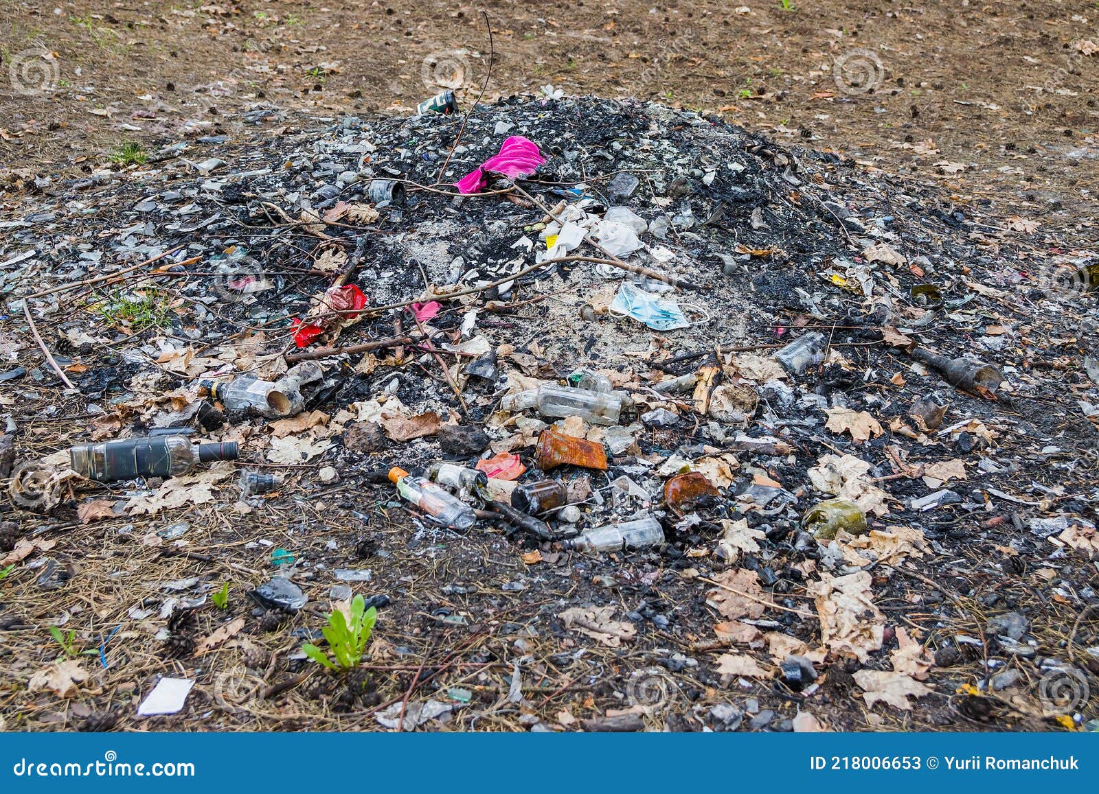 Basura En Un Pinar. Botellas De Vidrio De Alcohol Se Dispersan En El ... Basura En Un Pinar. Botellas De Vidrio De Alcohol Se Dispersan En El ...
