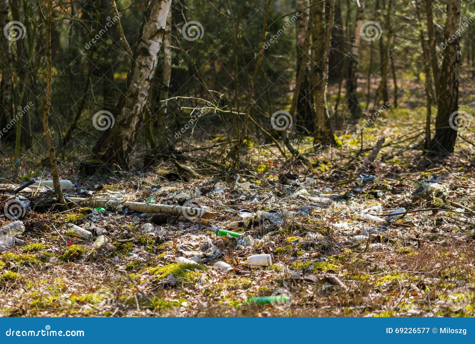 Basura Ilegal En Bosque De La Primavera Imagen de archivo - Imagen de ...