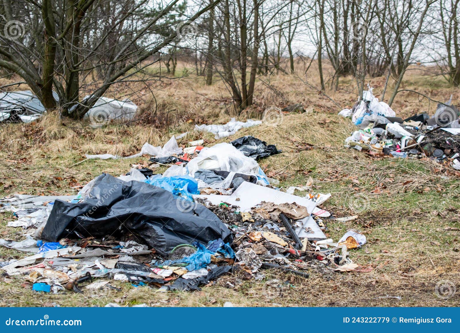 Basura tirada en el bosque imagen de archivo. Imagen de terraplén ...