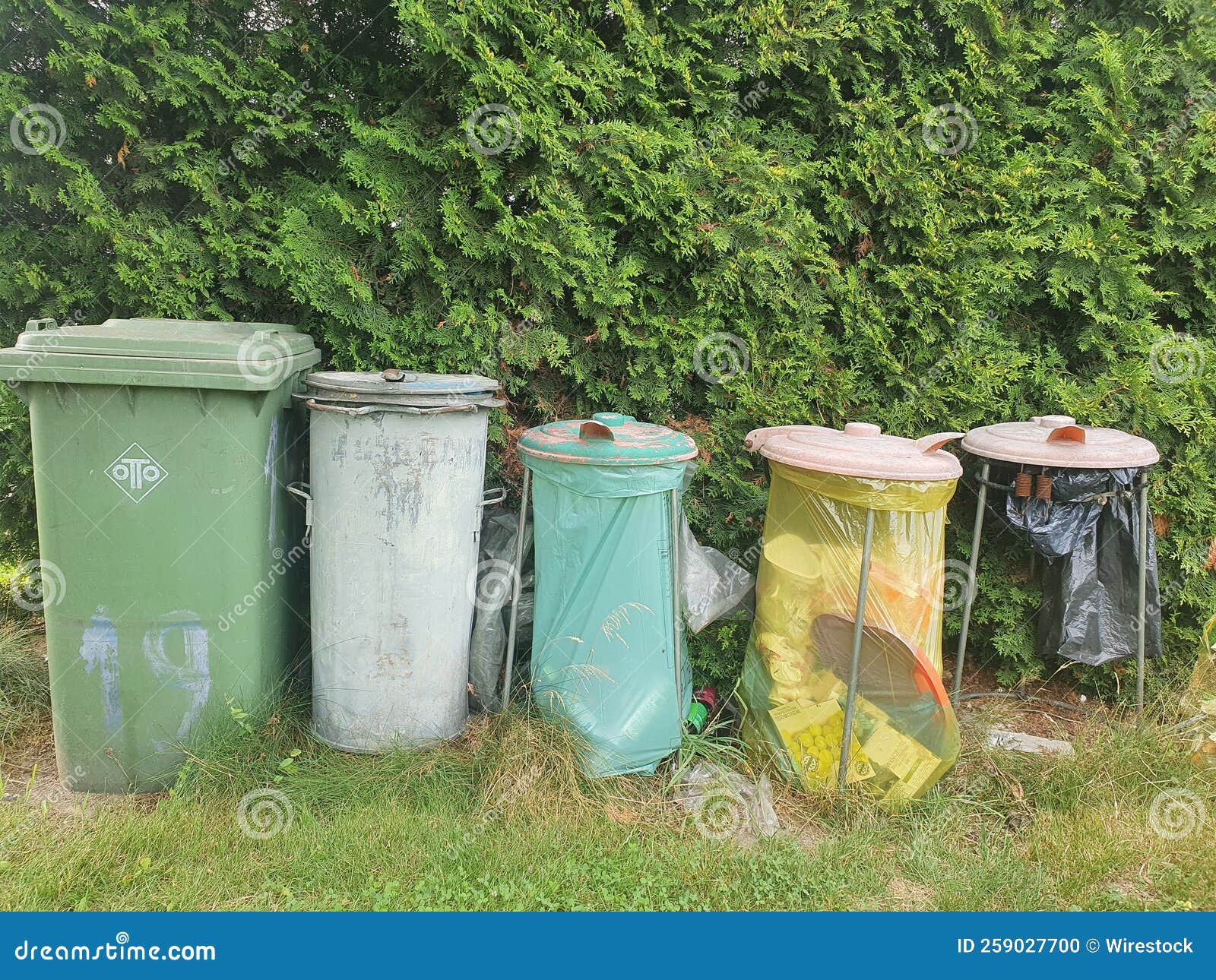 Basureros en el parque. foto de archivo. Imagen de envase - 259027700