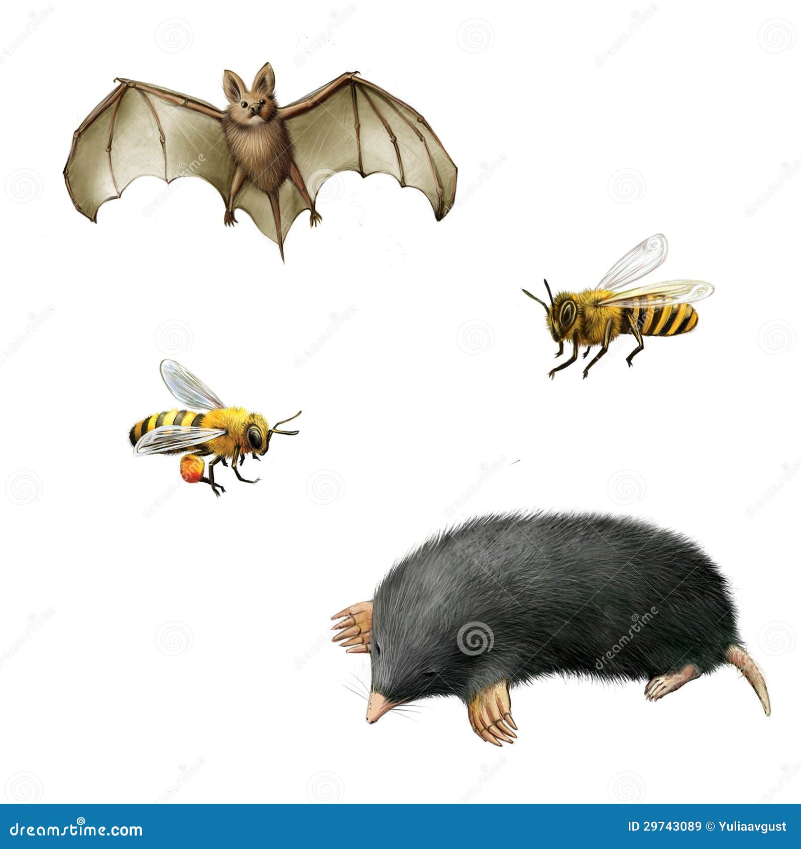 Bat, Bees, and Mole stock illustration. Illustration of insect - 29743089