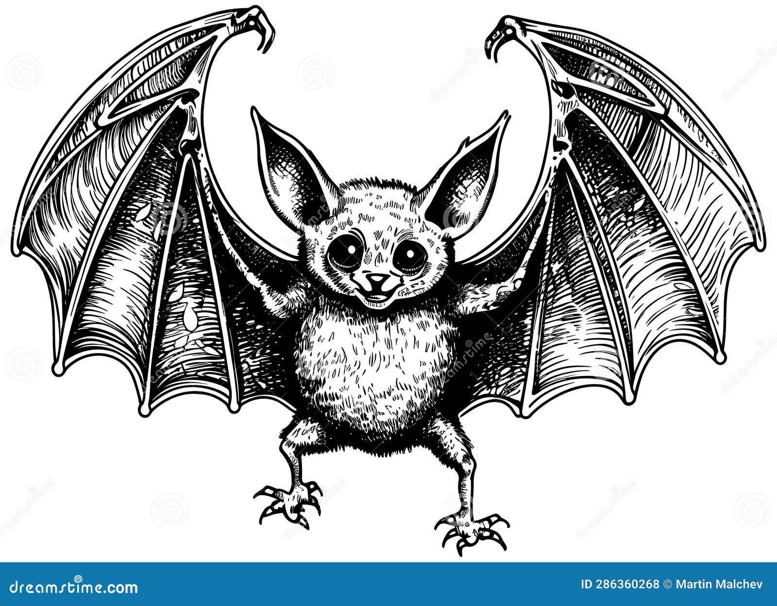 Bat Black and White stock illustration. Illustration of sign - 286360268
