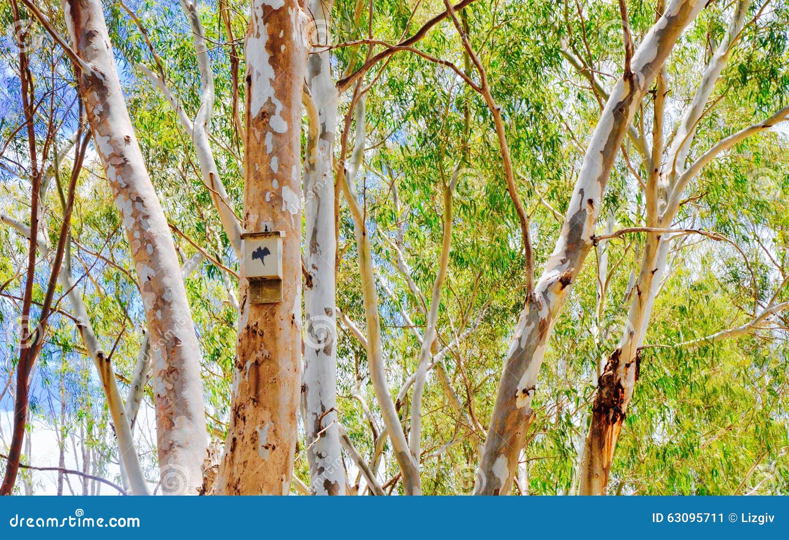 Bat Box In The Australian Bush Royalty-Free Stock Photography ...