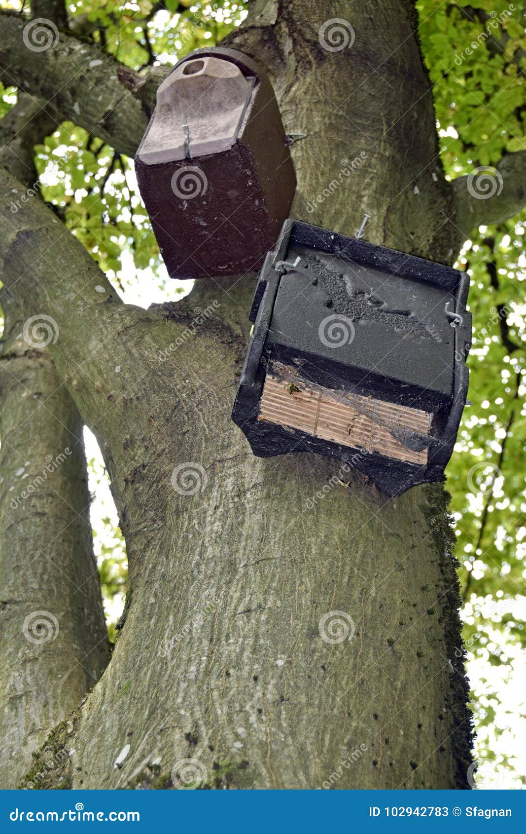 Bat box and Birdhouse stock image. Image of trunk, birdhouse - 102942783