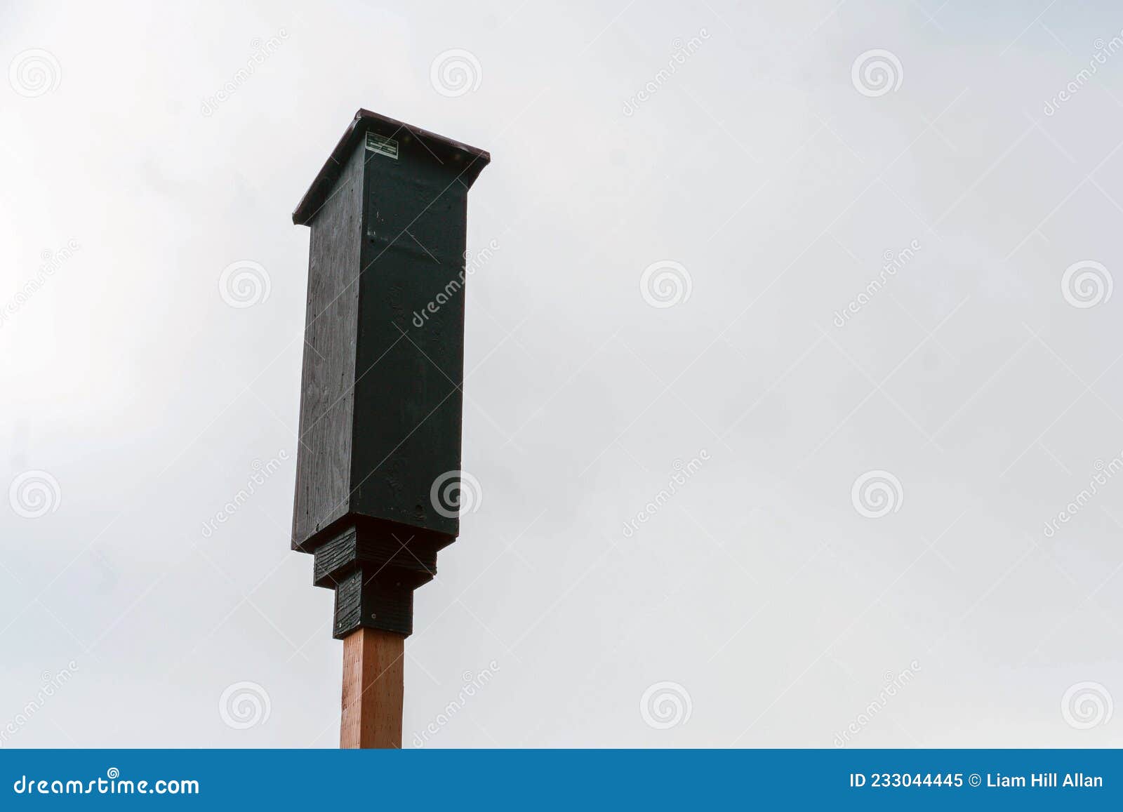 Bat box sits on tall pole stock image. Image of shelter - 233044445