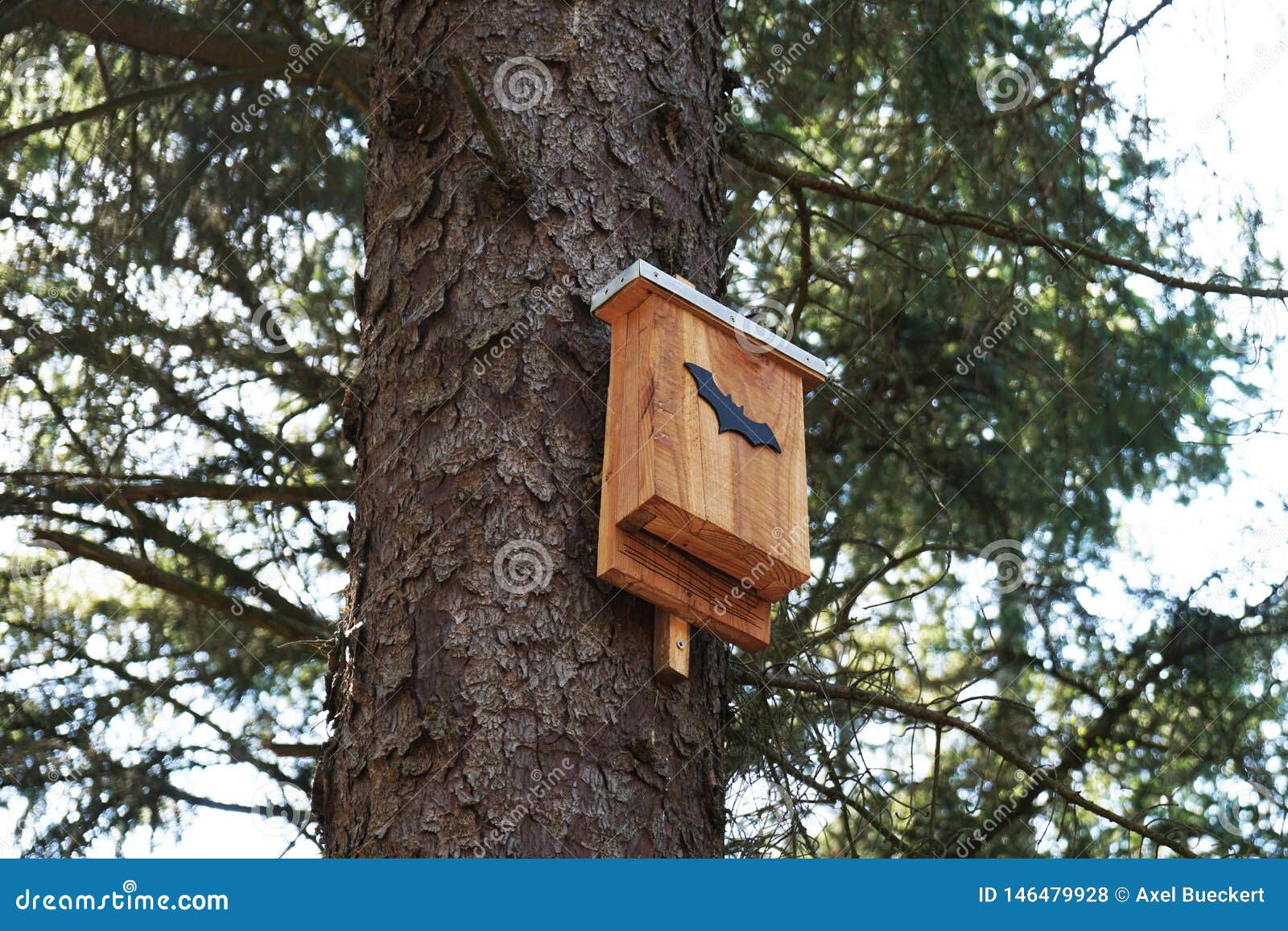 Bat box in tree stock photo. Image of nature, conservation - 146479928