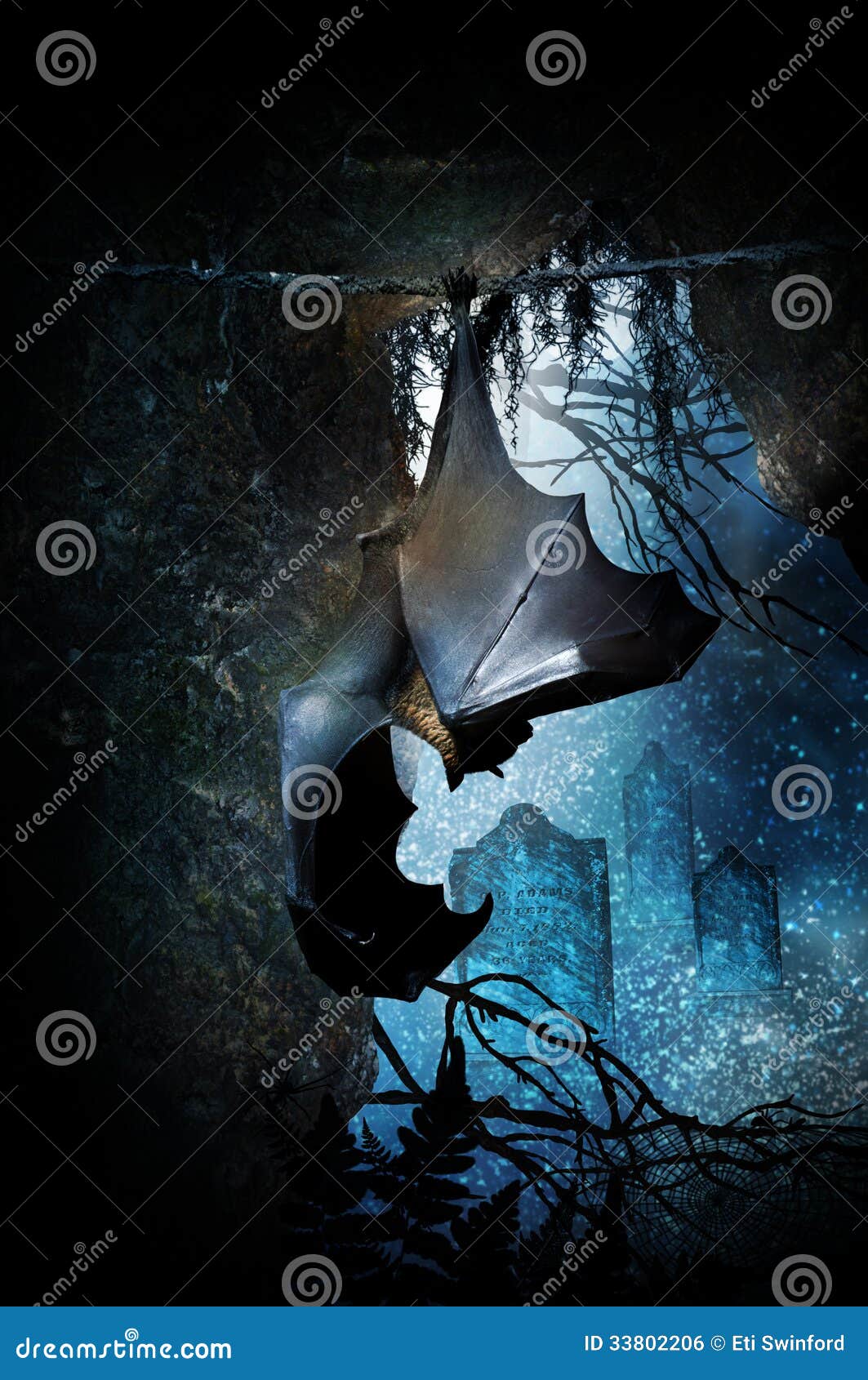 Bats Flying Out Of Cave Drawing