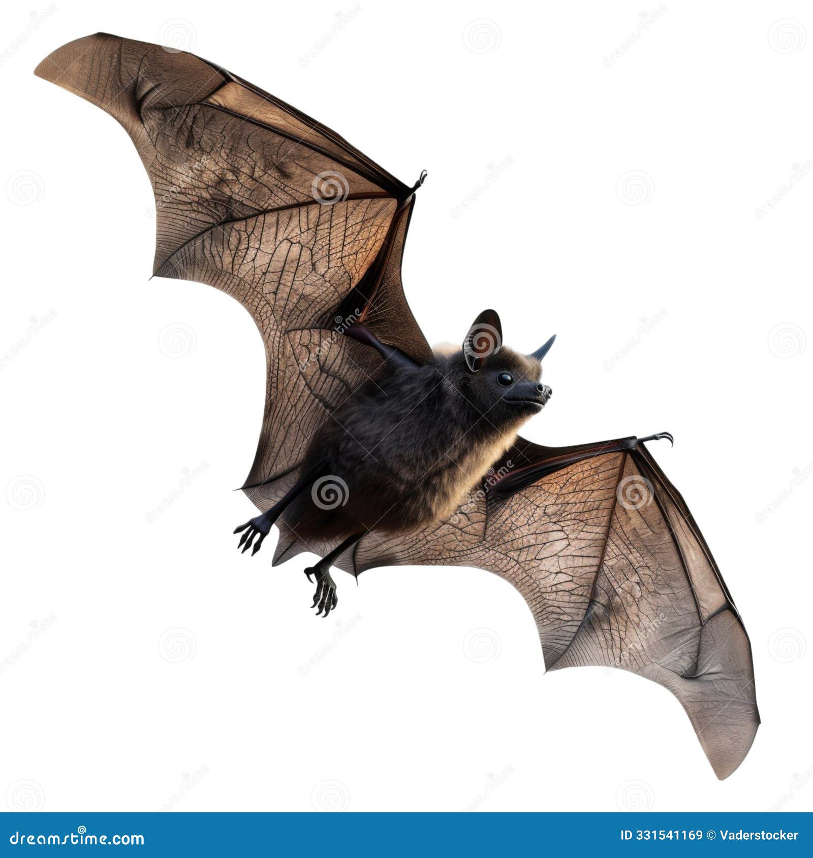 A Bat in Flight with Spread Wings Stock Illustration - Illustration of ...