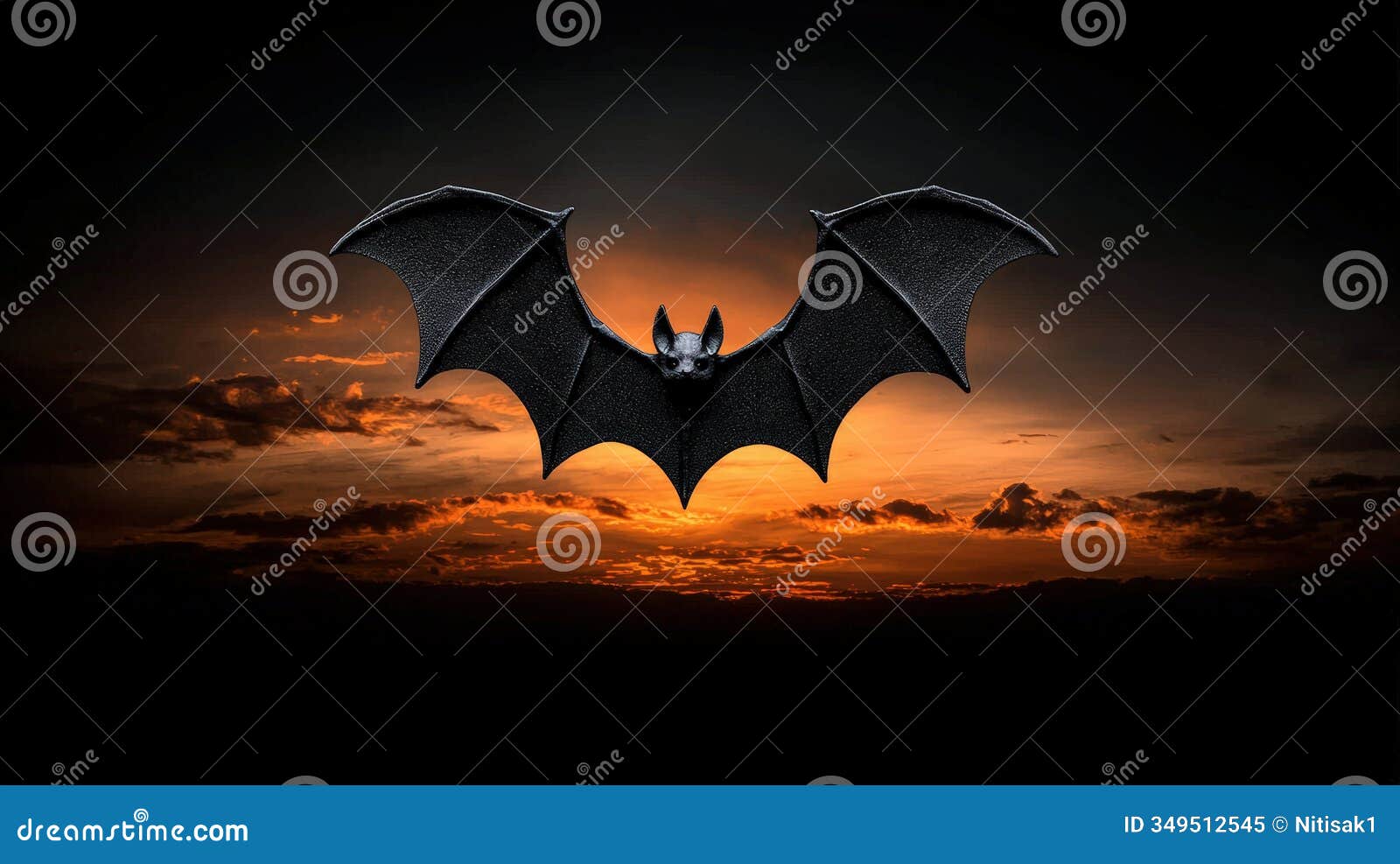 Bat Flying Against a Dramatic Sunset Background Showcasing Its Wingspan ...