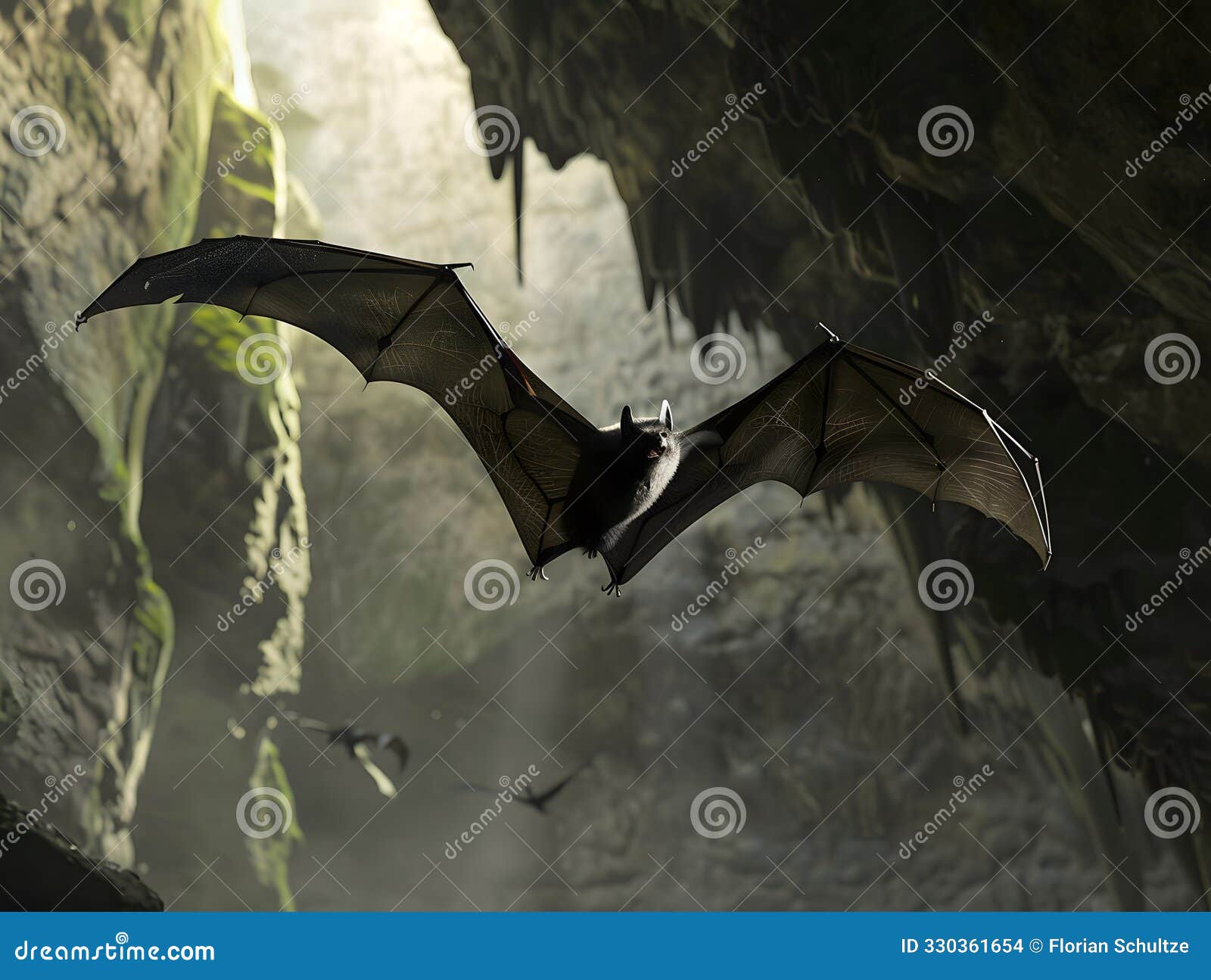 Bat flying in a cave stock illustration. Illustration of biology ...