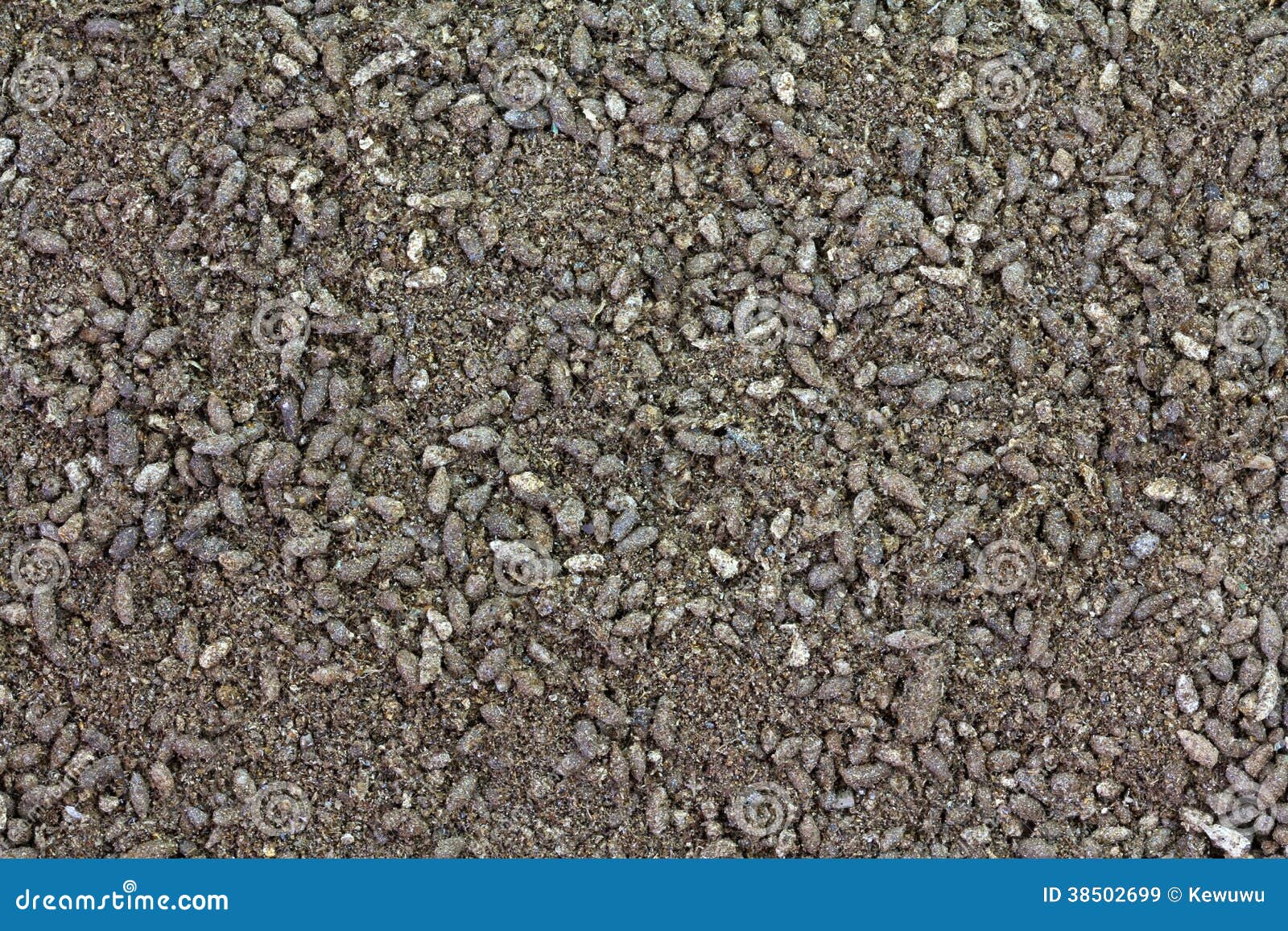 Bat Guano Fertilizer stock image. Image of nitrogen, nutrients - 38502699