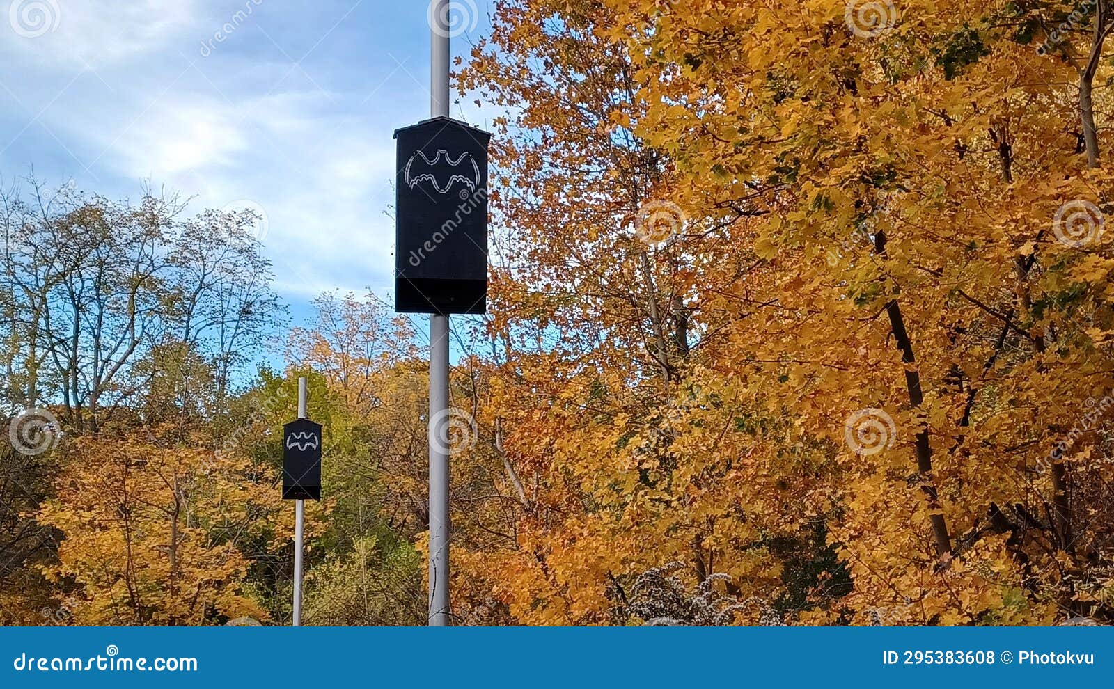 Bat house in Canadian park stock photo. Image of mammals - 295383608