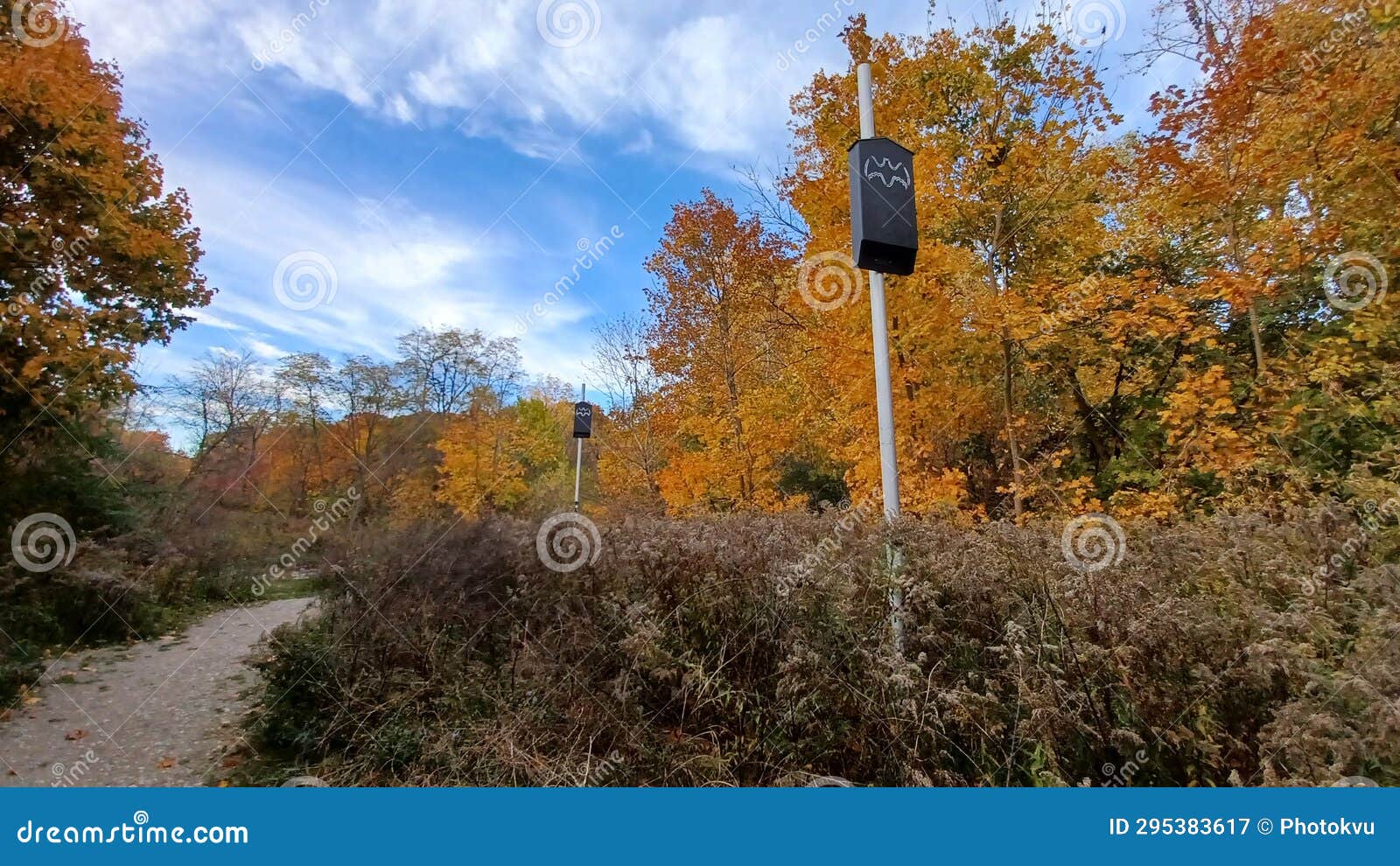 Bat house in Canadian park stock image. Image of habitat - 295383617
