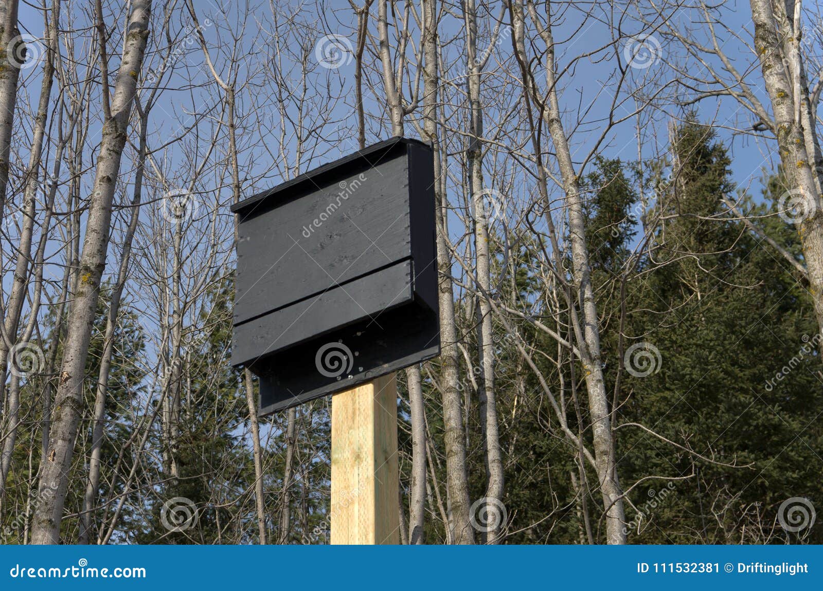 Bat House on stock image. Image of breeding, nature - 111532381