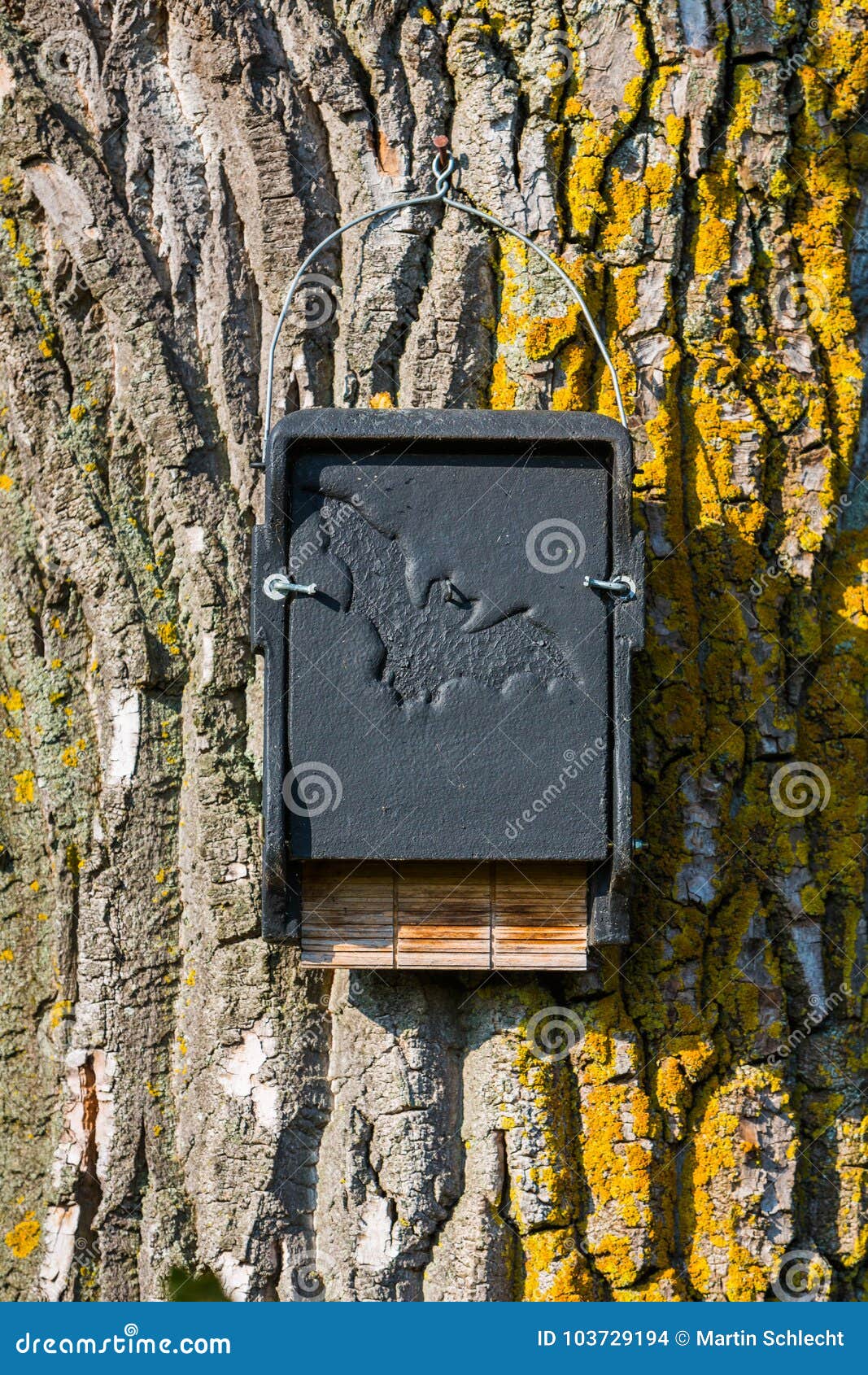 Bat house on a tree stock photo. Image of cave, protection - 103729194