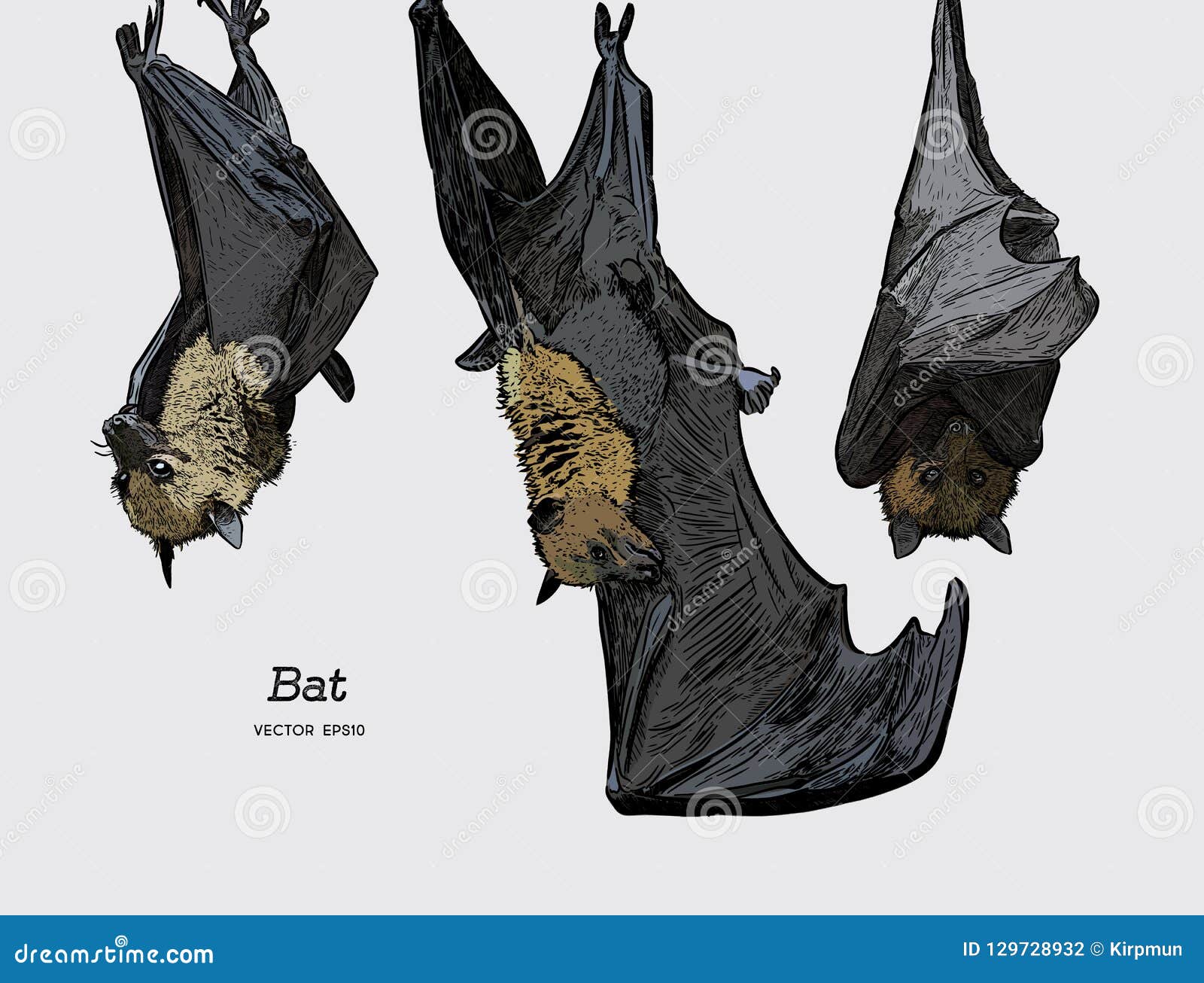 Bat illustration vector. stock vector. Illustration of drawn - 129728932