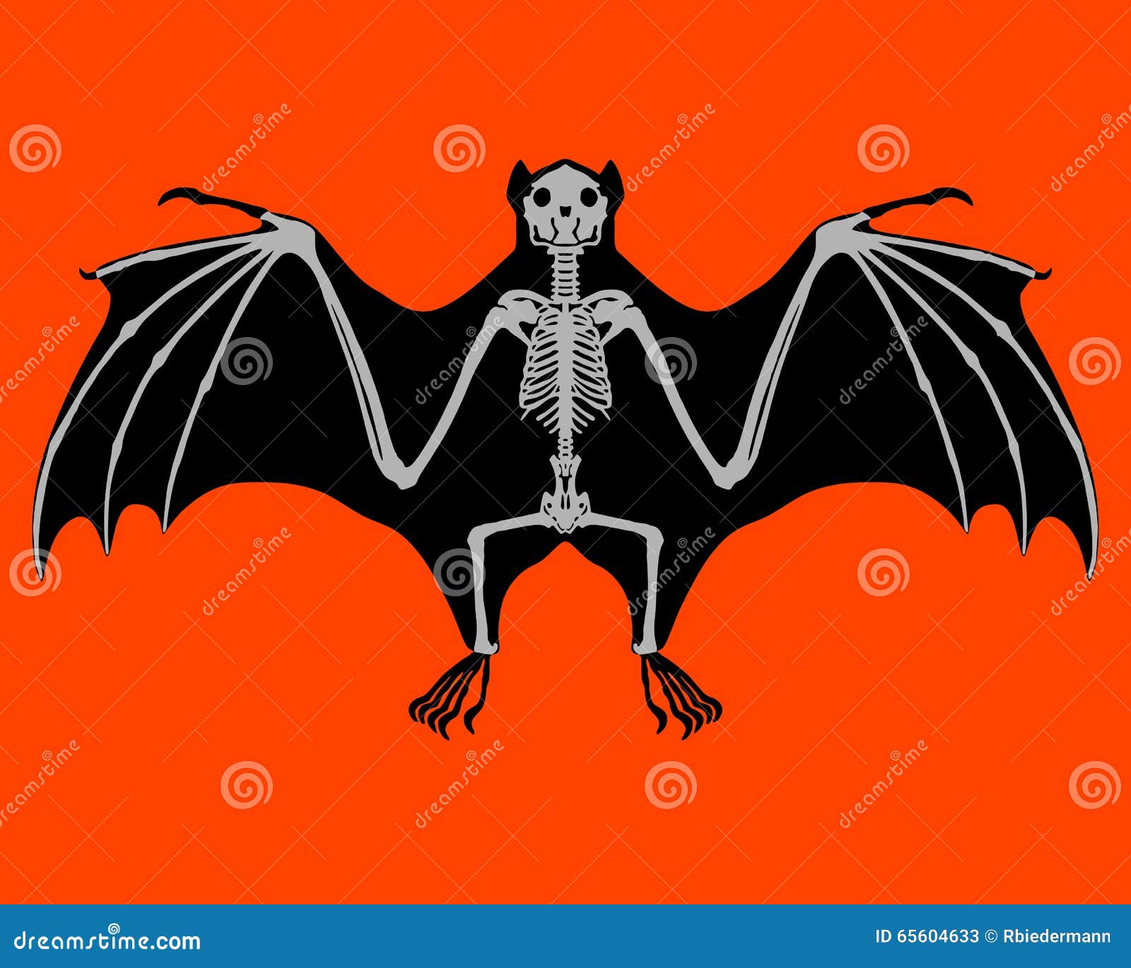 Bat skeleton stock vector. Illustration of black, isolated - 65604633