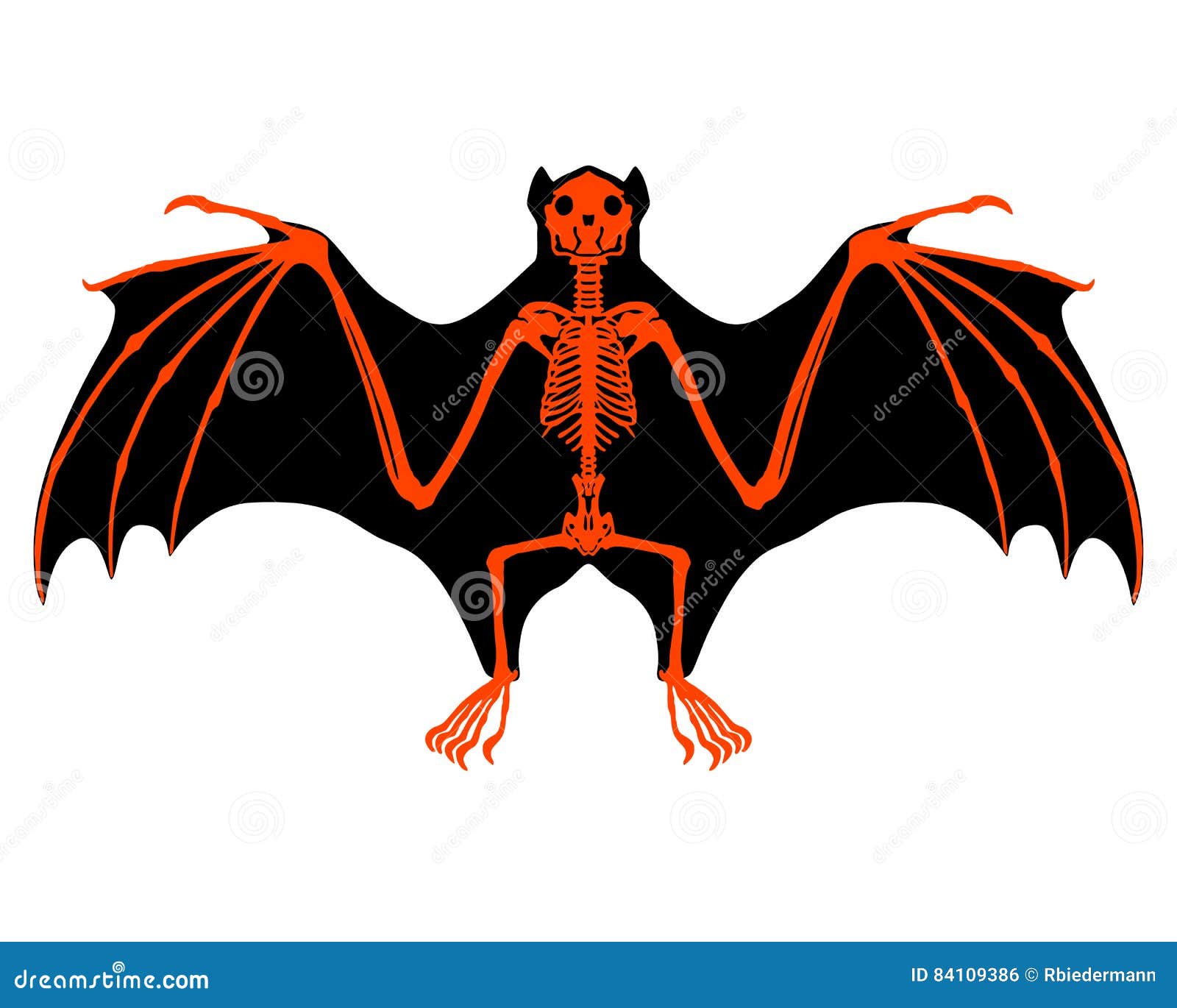 Bat skeleton stock vector. Illustration of animal, halloween - 84109386