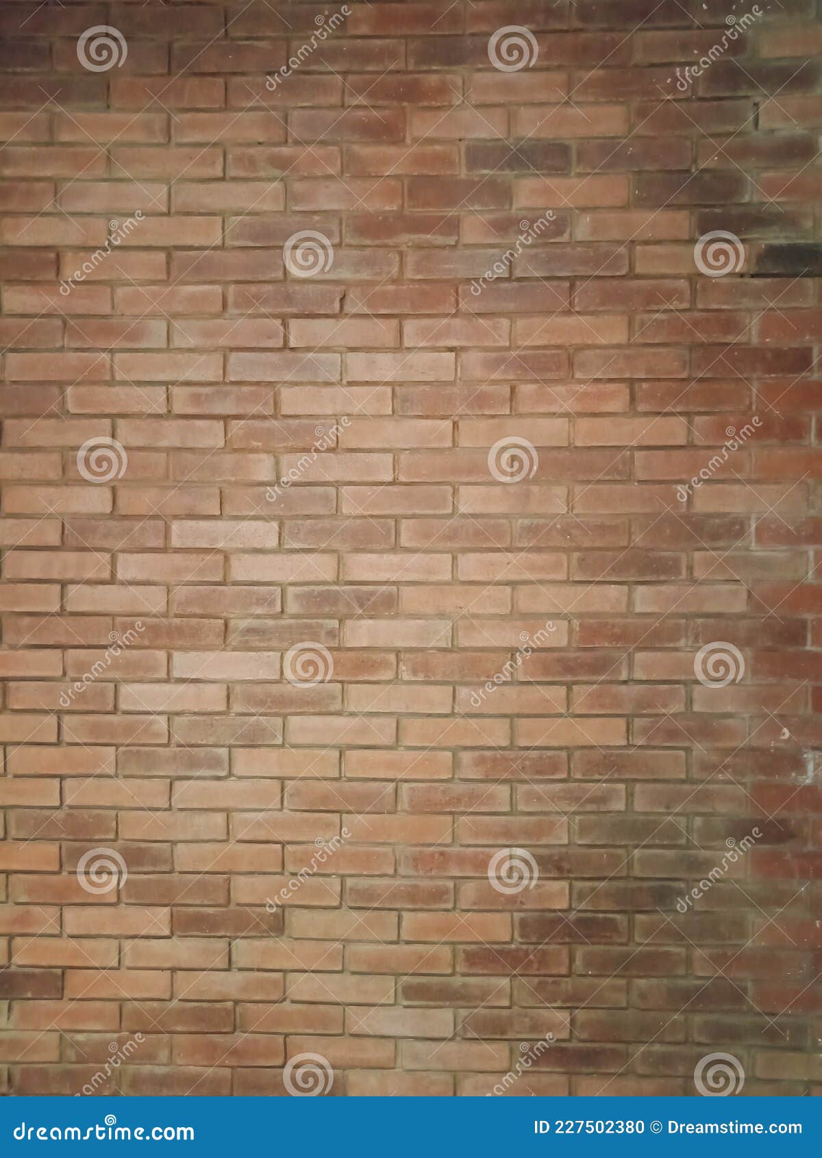 Bata merah stock photo. Image of bata, merah, brick - 227502380