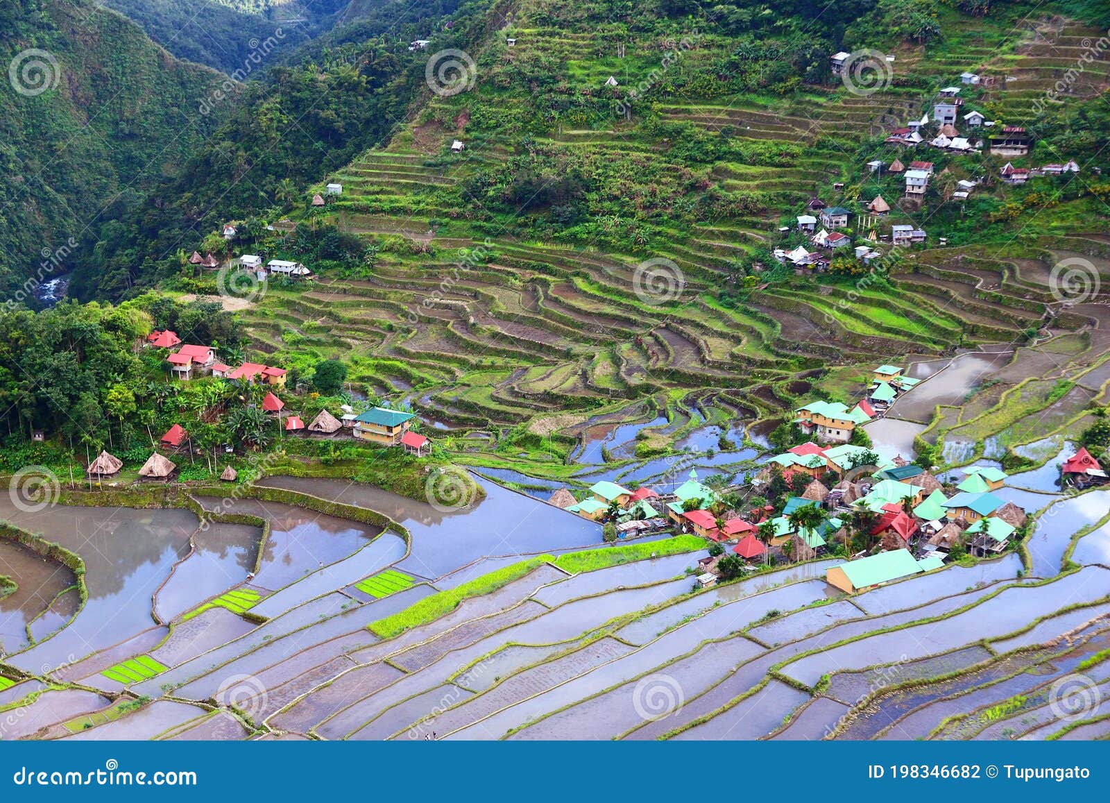 Batad, Philippines stock photo. Image of tradition, field - 198346682