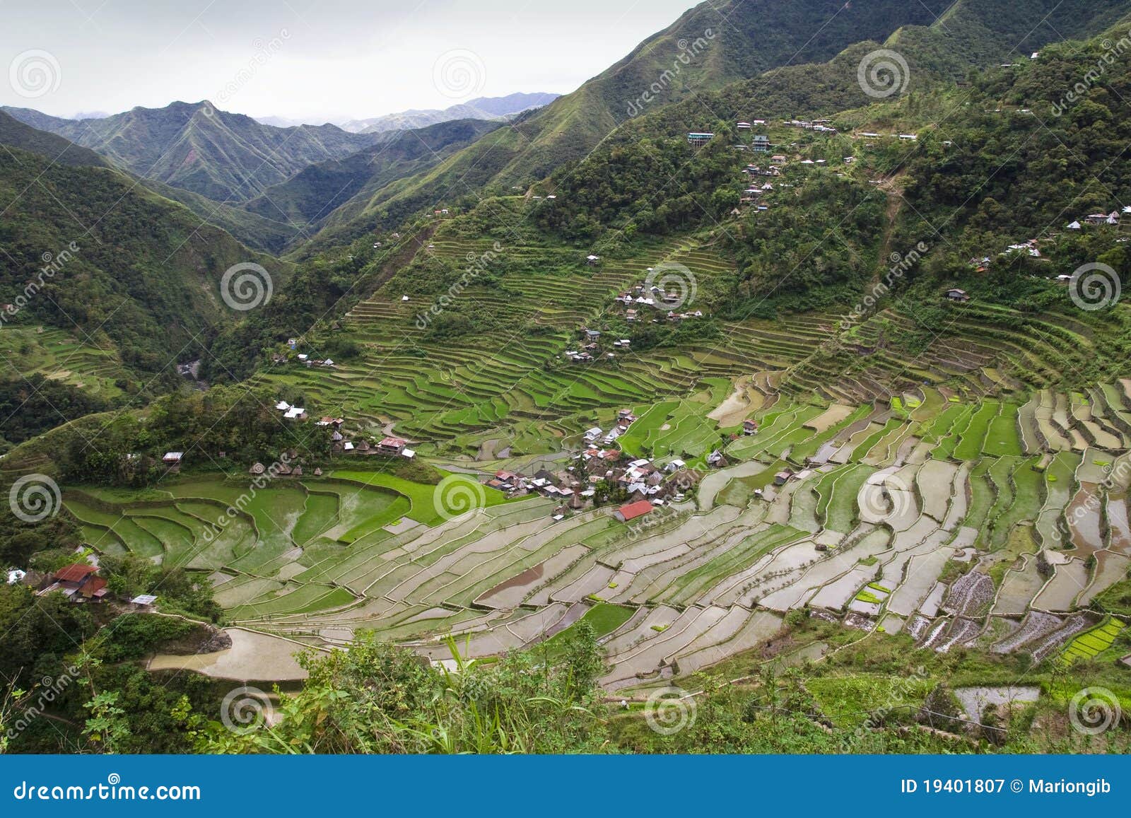 Batad rice terraces stock image. Image of heritage, farmer - 19401807