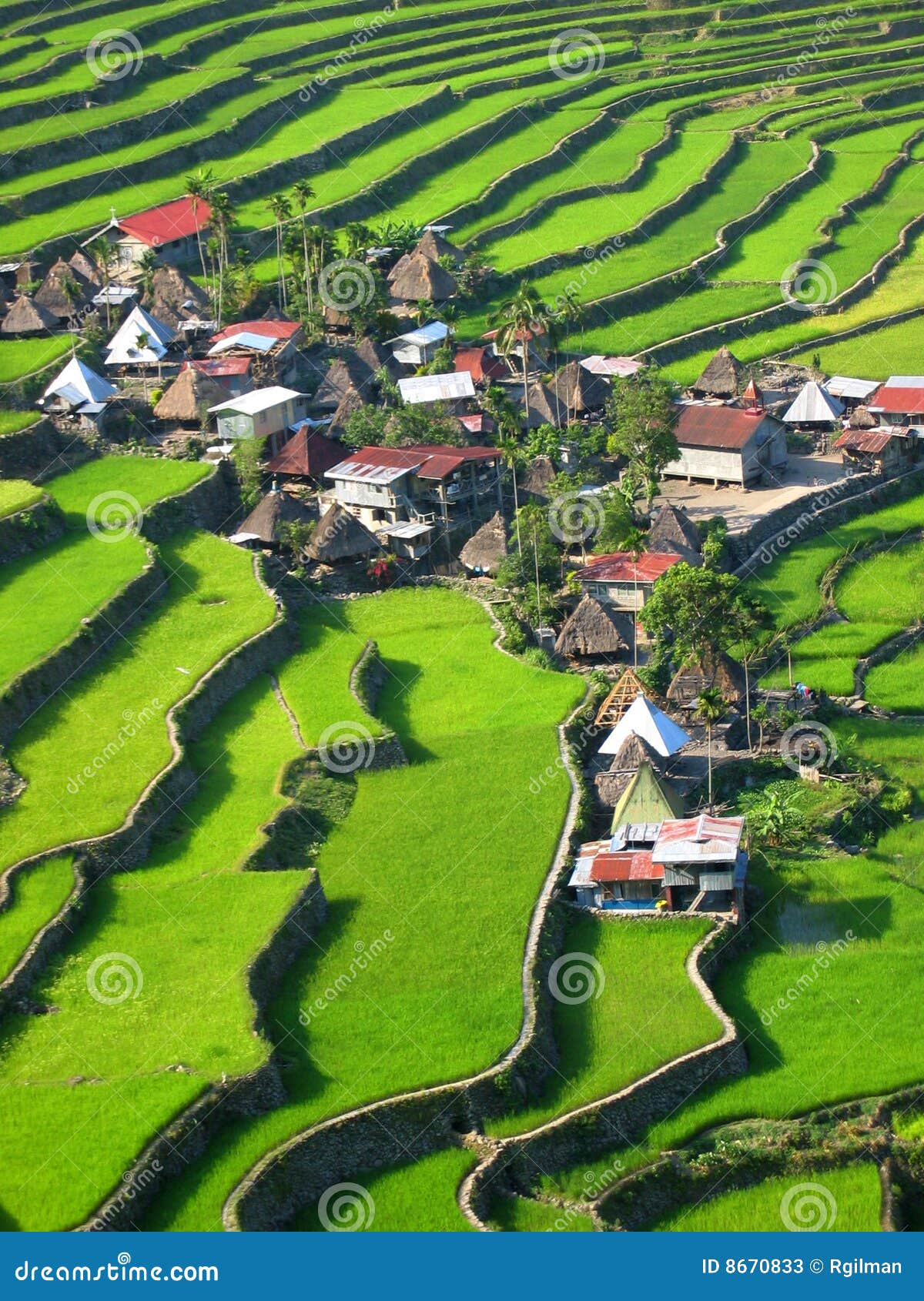 Batad Rice Terraces stock image. Image of land, nature - 8670833