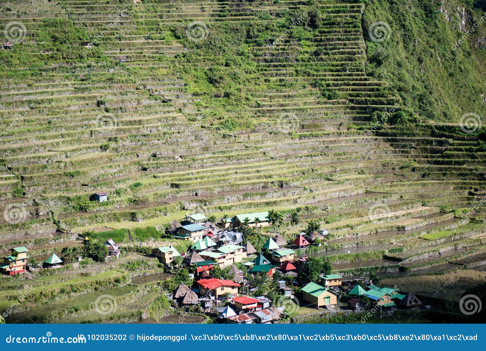 Batad Rice Terraces, Banaue, Ifugao, Philippines Stock Photo - Image of ...