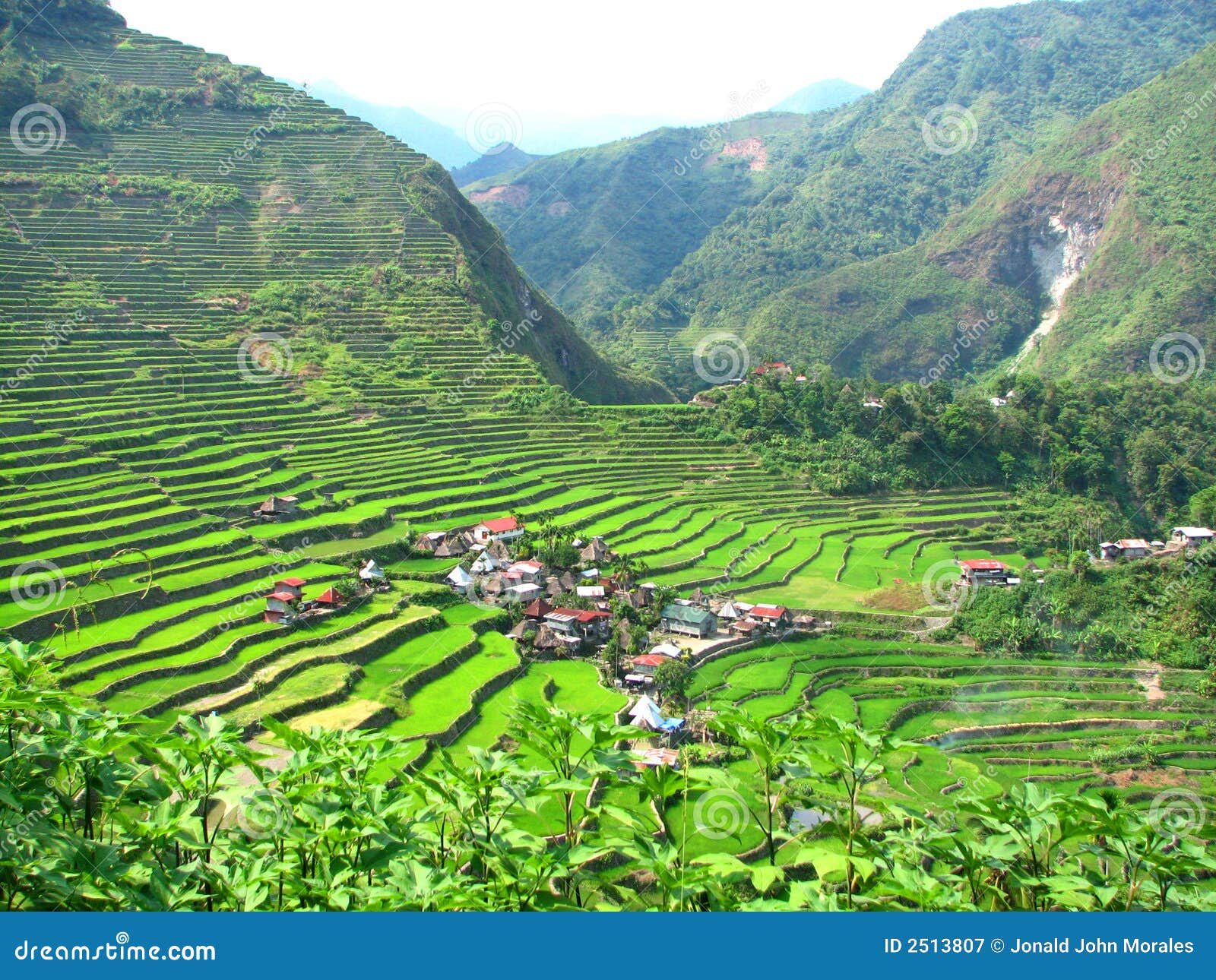 Batad Rice Terraces Village Stock Image - Image of rice, valleys: 2513807