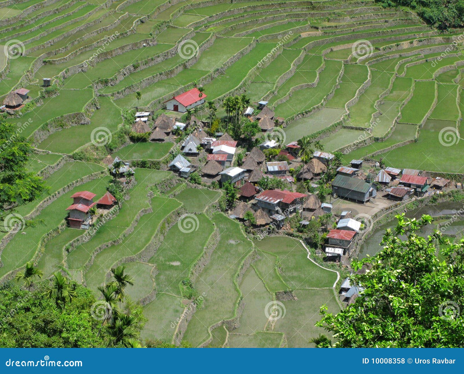 Batad village stock photo. Image of angle, cultivated - 10008358