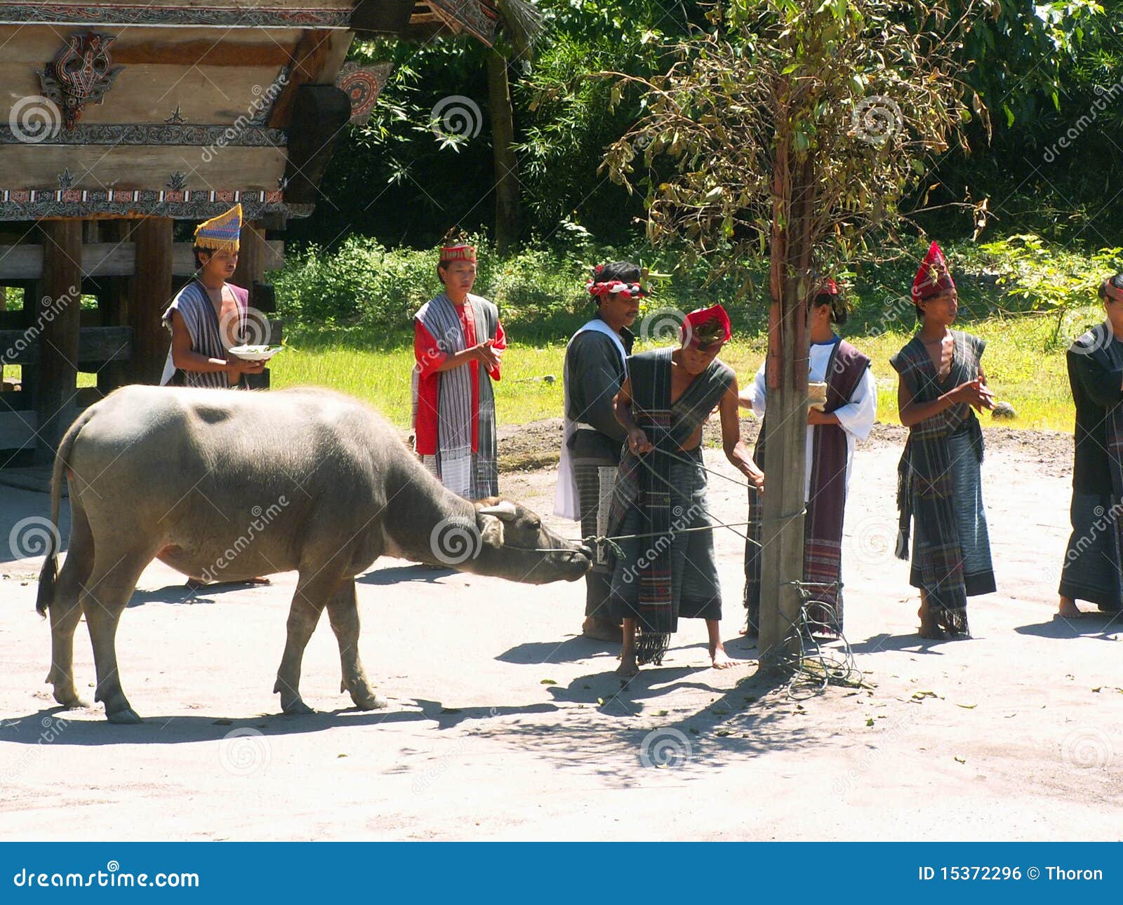 Batak dance editorial photo. Image of traditional, sumatra - 15372296