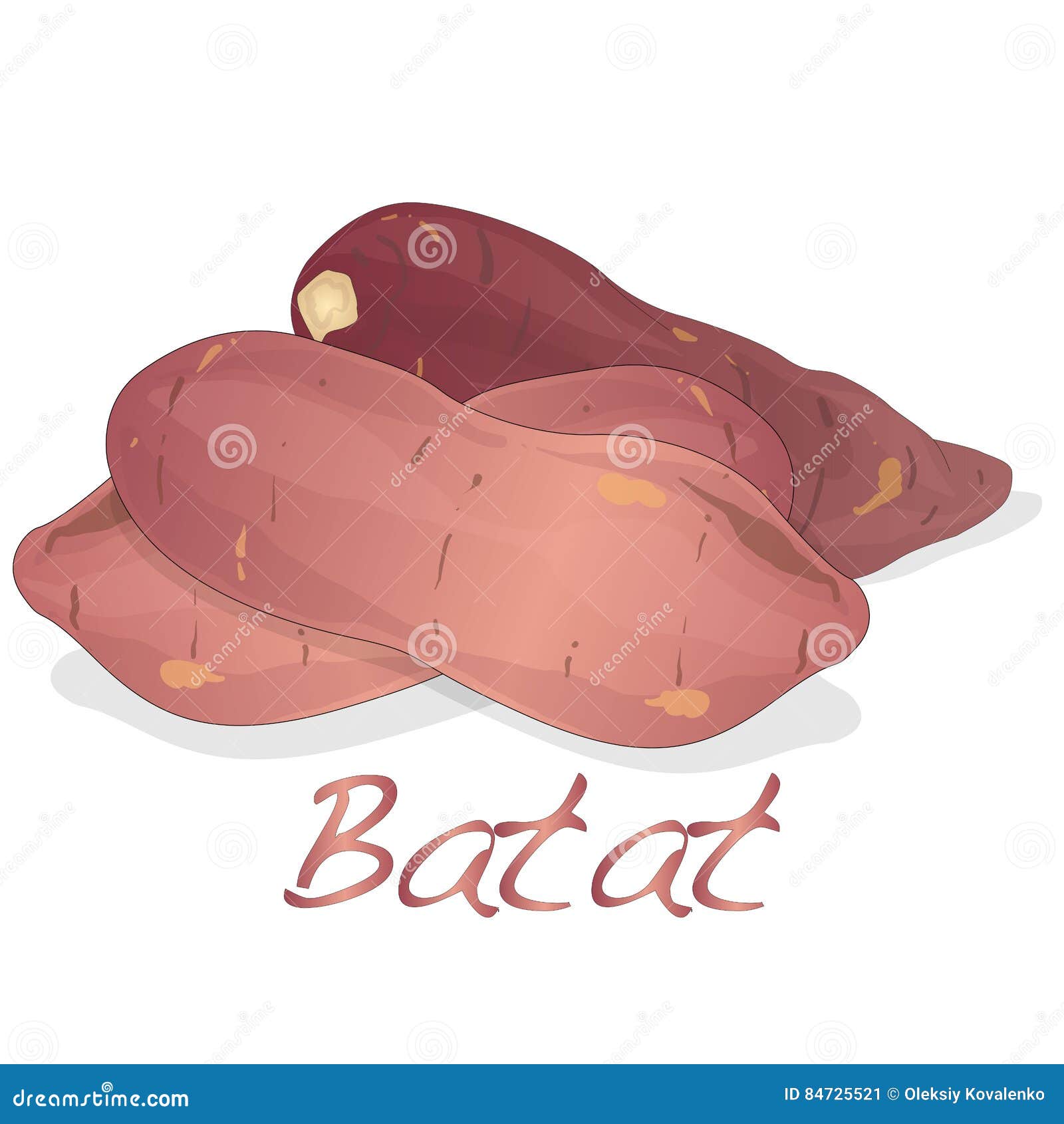 Batat, sweet potato vector stock vector. Illustration of organic - 84725521
